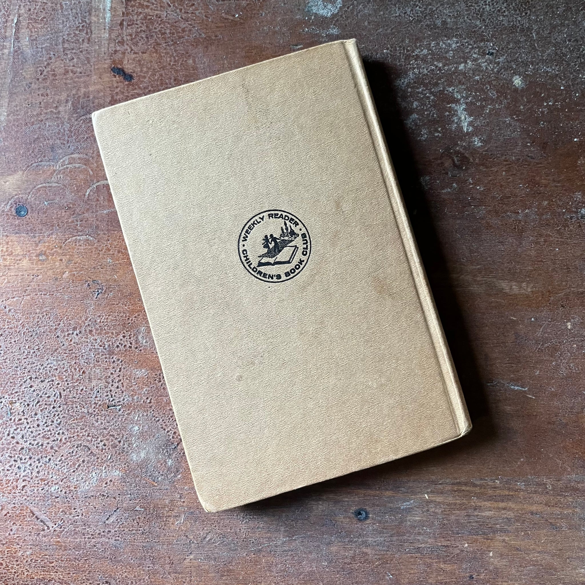 A Dog on Barkham Street by M. S. Stolz 1961 Weekly Read Children's Boo ...