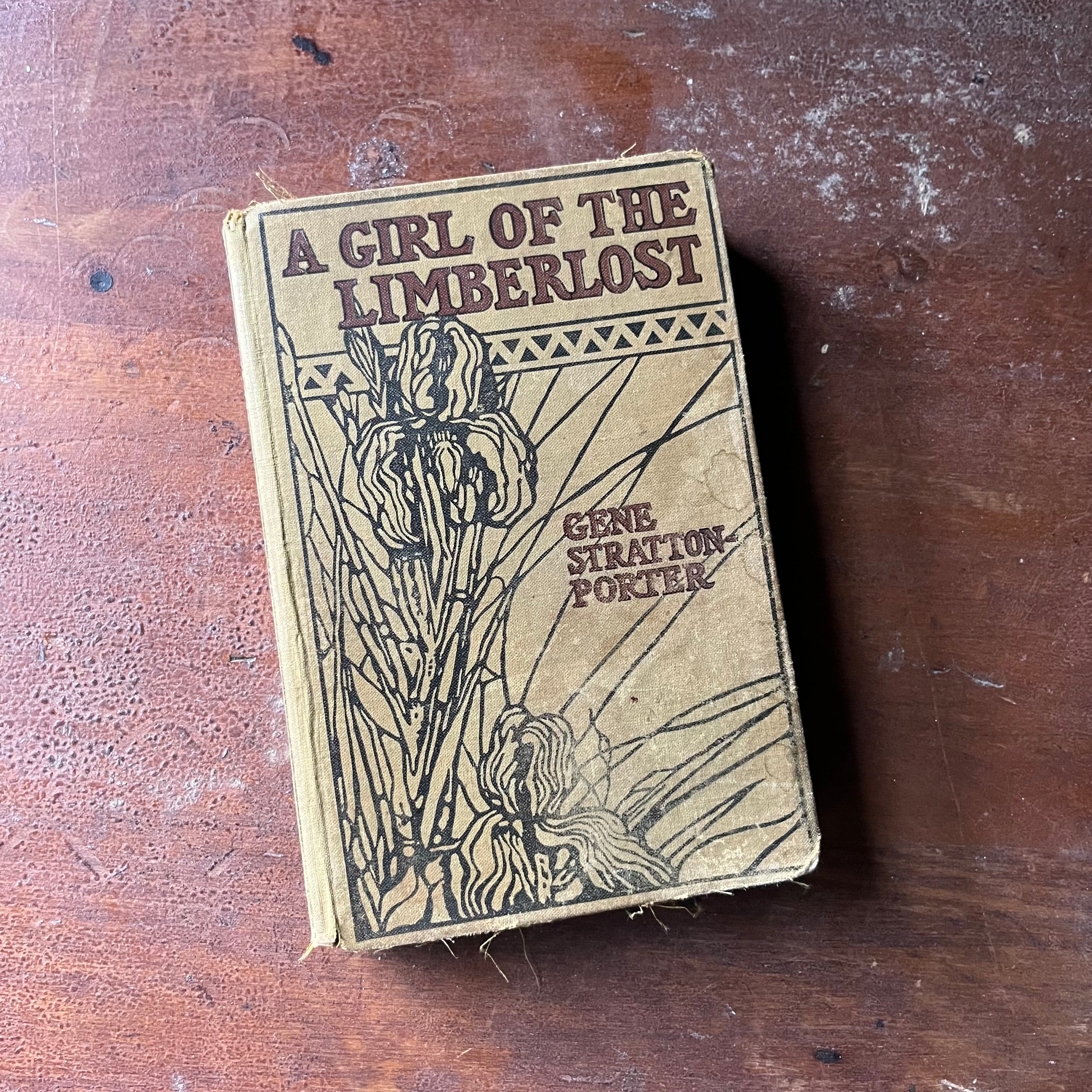 A Girl of the Limberlost by Gene Stratton-Porter - 1909 Edition - Log ...