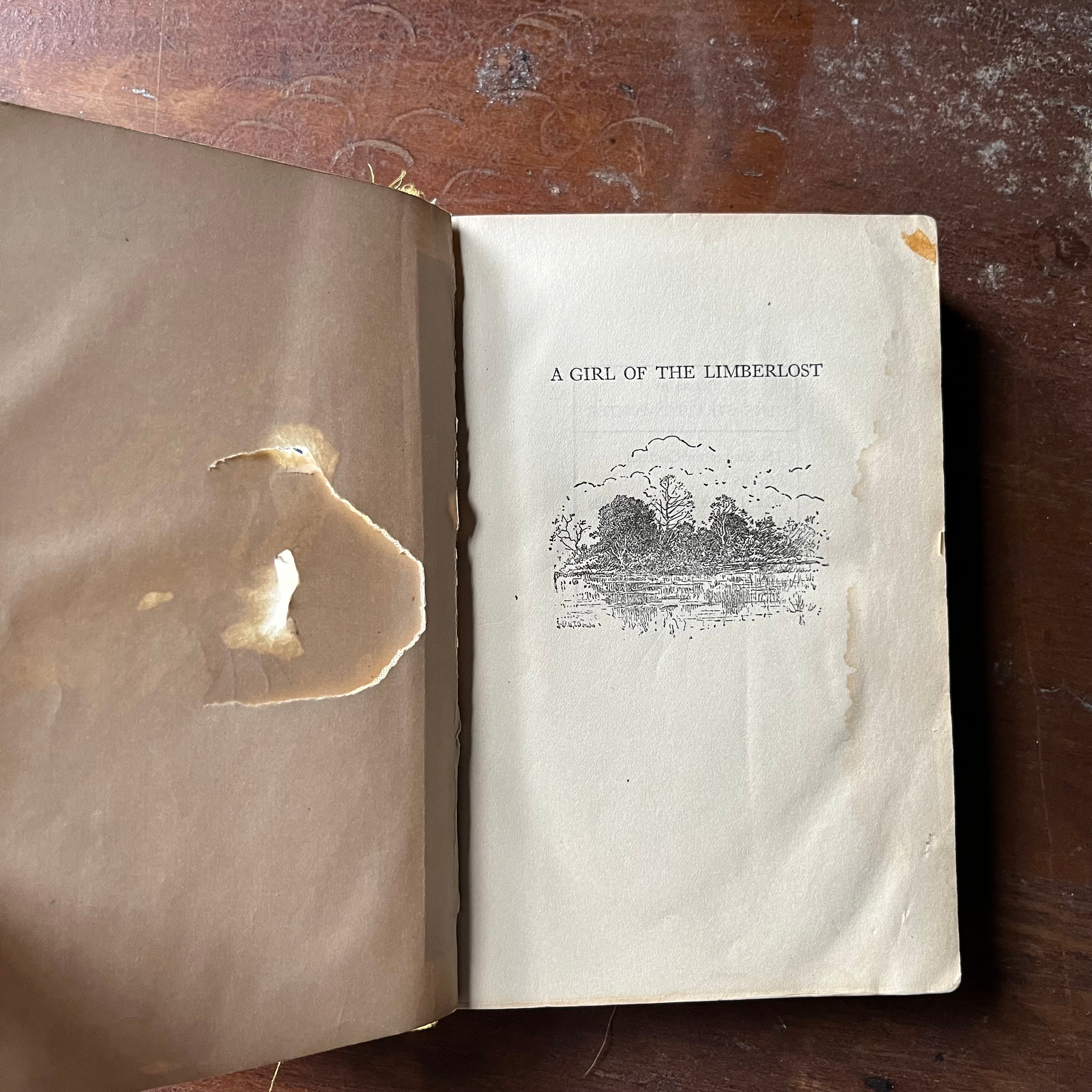 A Girl of the Limberlost by Gene Stratton-Porter - 1909 Edition - Log ...