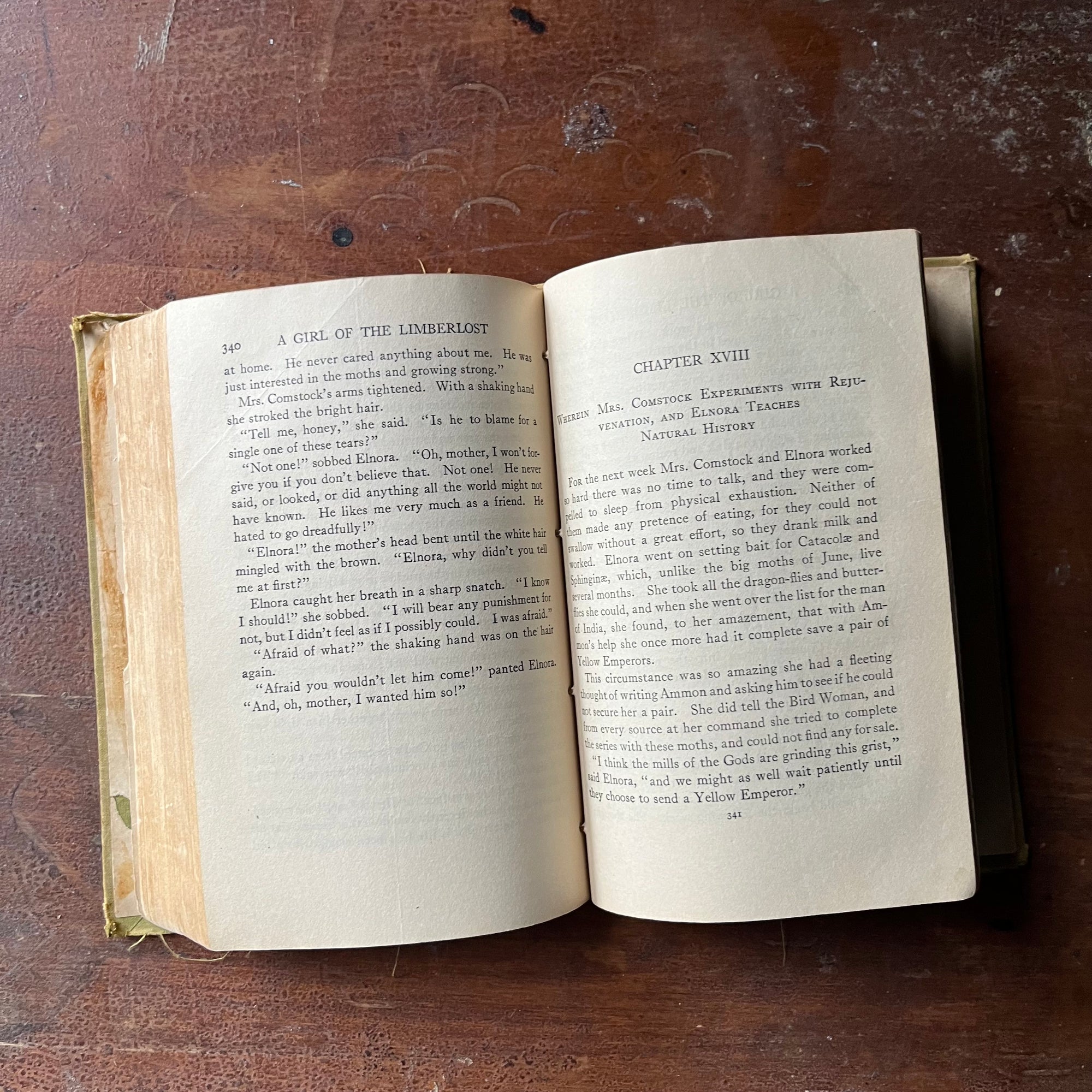 A Girl of the Limberlost by Gene Stratton-Porter - 1909 Edition - Log ...