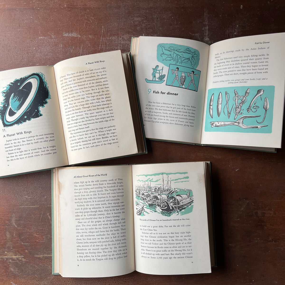 Set of Three All About Books: The Great Rivers of the World, Fish & Th ...