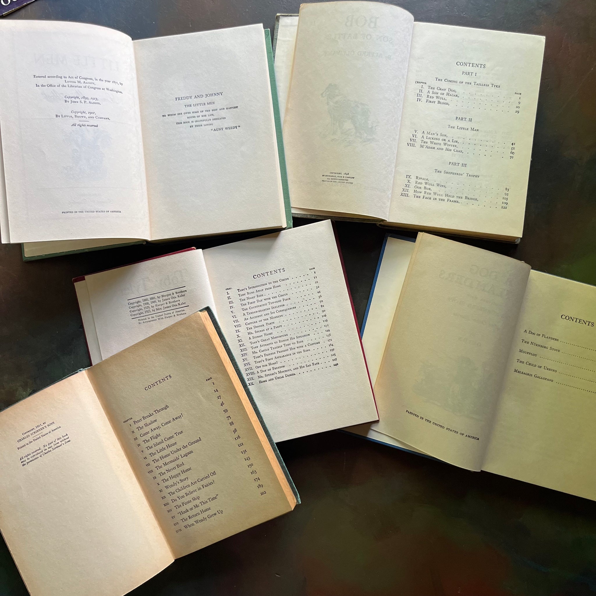 Companion Library Book Set: Little Men, Bob Son of Battle, Peter Pan ...