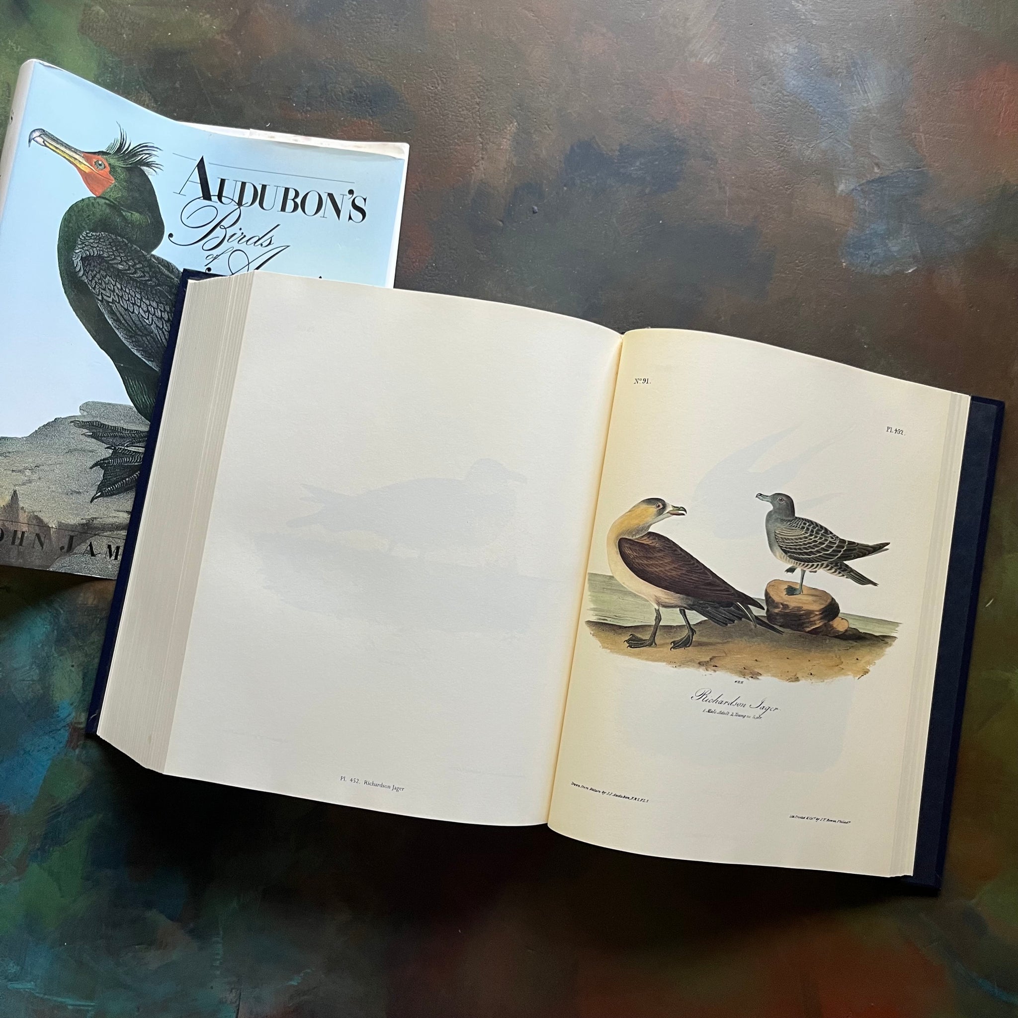 Audubon's Birds of America by John James Audubon - The Royal Octavo Ed ...