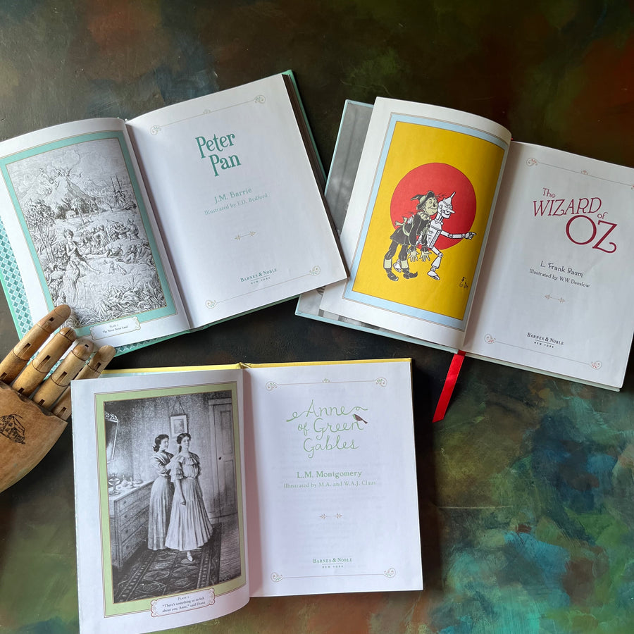 Barnes & Noble Leatherbound Book Set - Anne of Green Gables, Wizard of ...