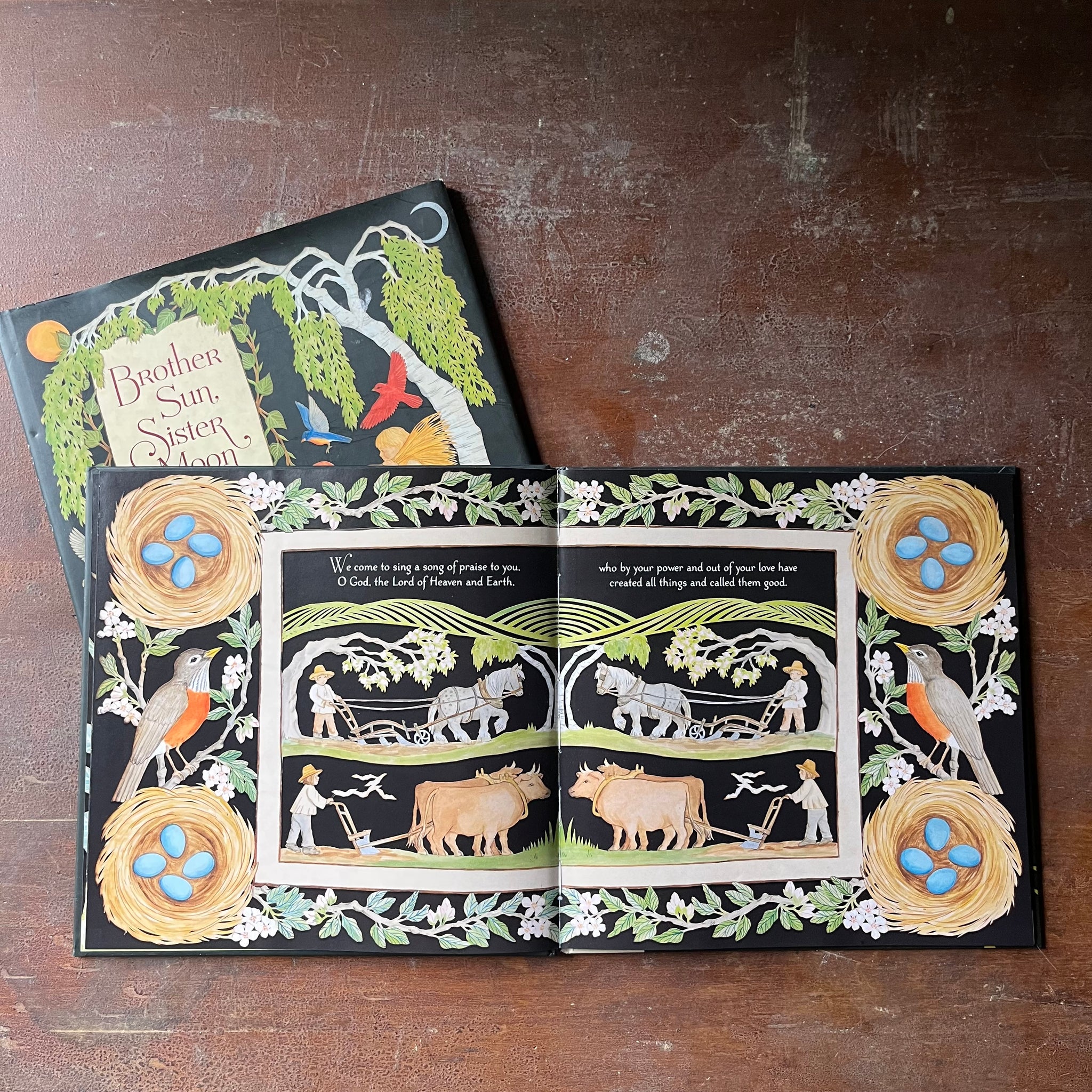 Brother Sun, Sister Moon St. Francis of Assisi Reimagined by Katherine ...