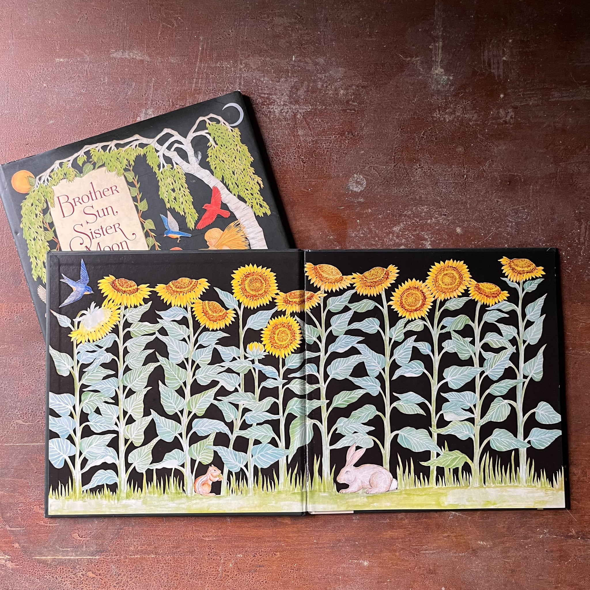 Brother Sun, Sister Moon St. Francis of Assisi Reimagined by Katherine ...