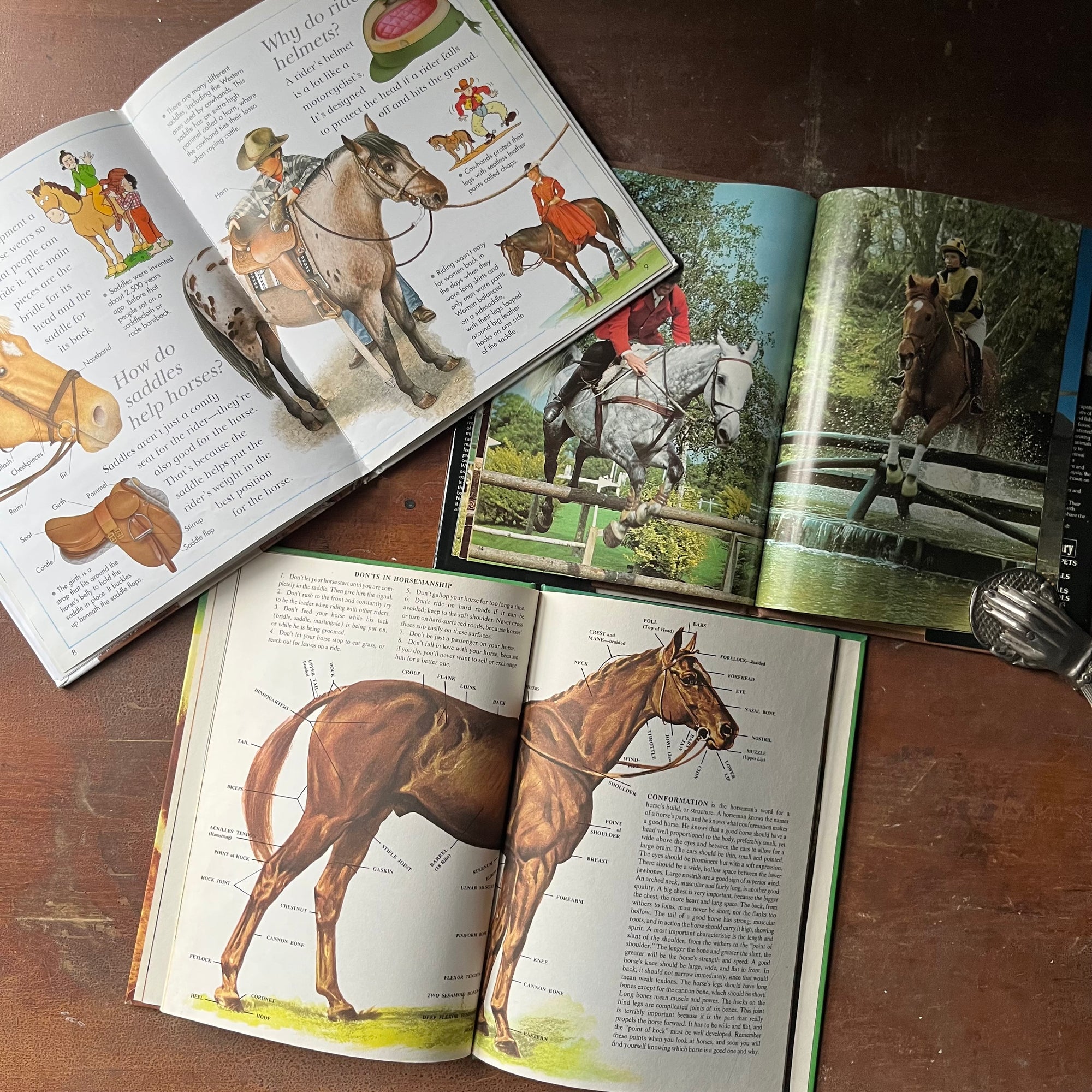 Set of Three Books About Horses: The Color Nature Library Horses, The ...
