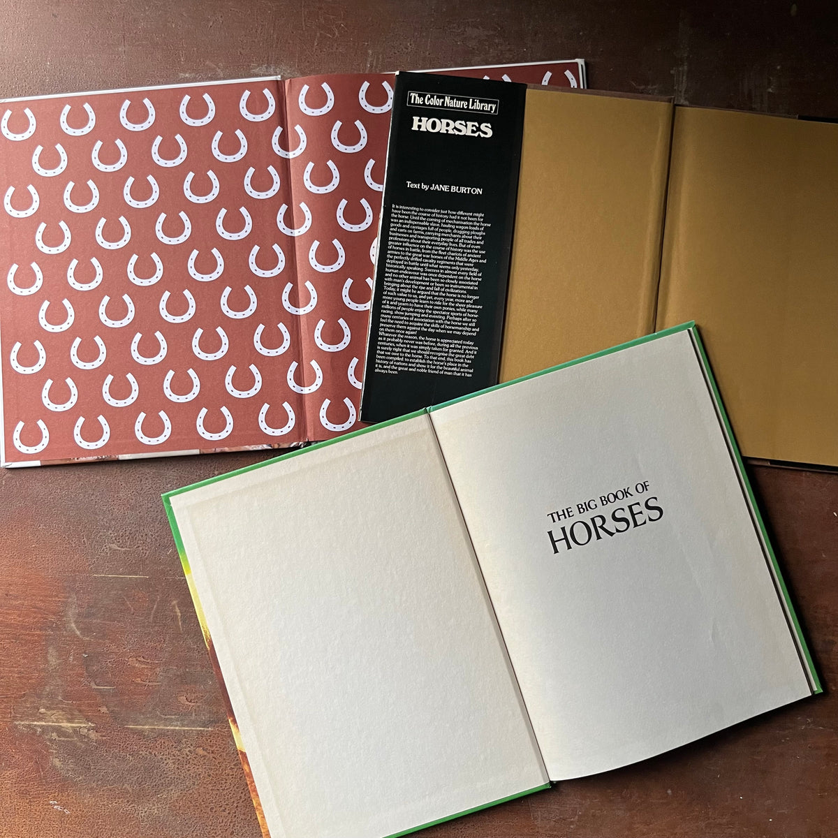 Set of Three Books About Horses: The Color Nature Library Horses, The ...