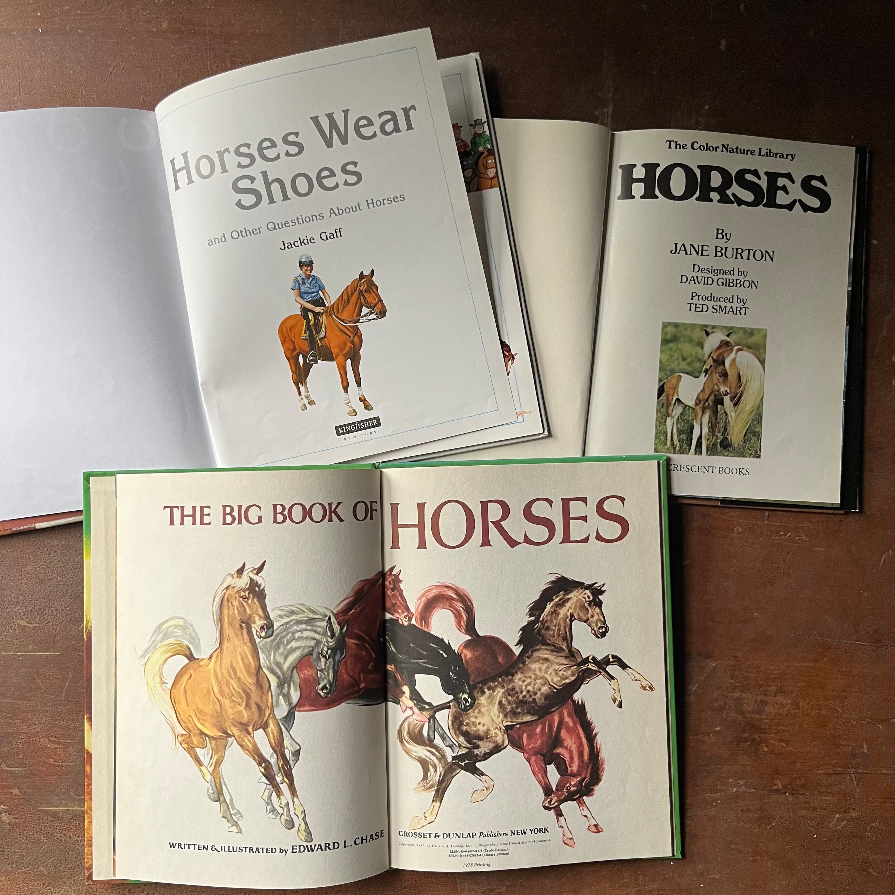Set of Three Books About Horses: The Color Nature Library Horses, The ...