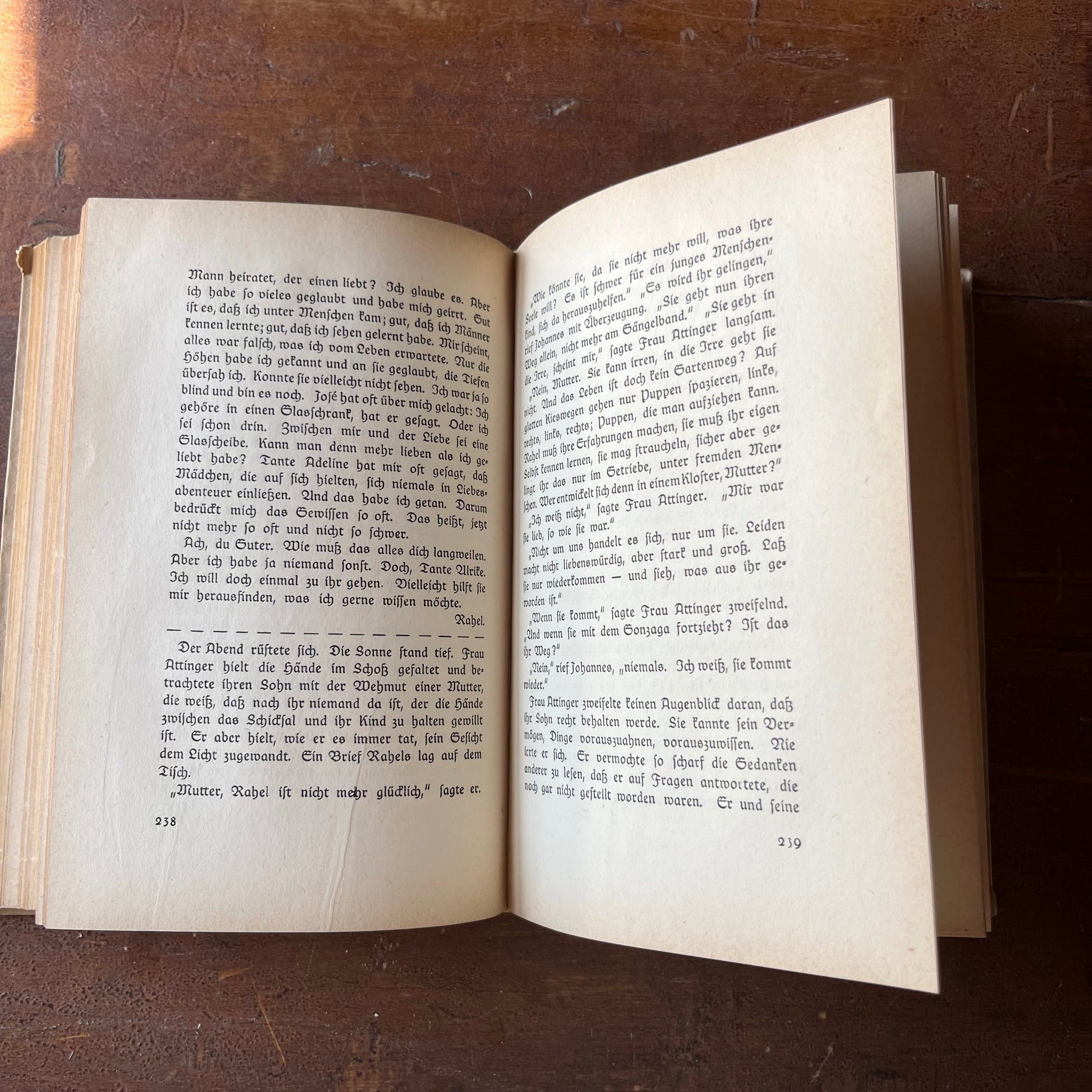 Der Vogel im Kafig by Lisa Wenger - The Bird in the Cage 1922 Edition ...