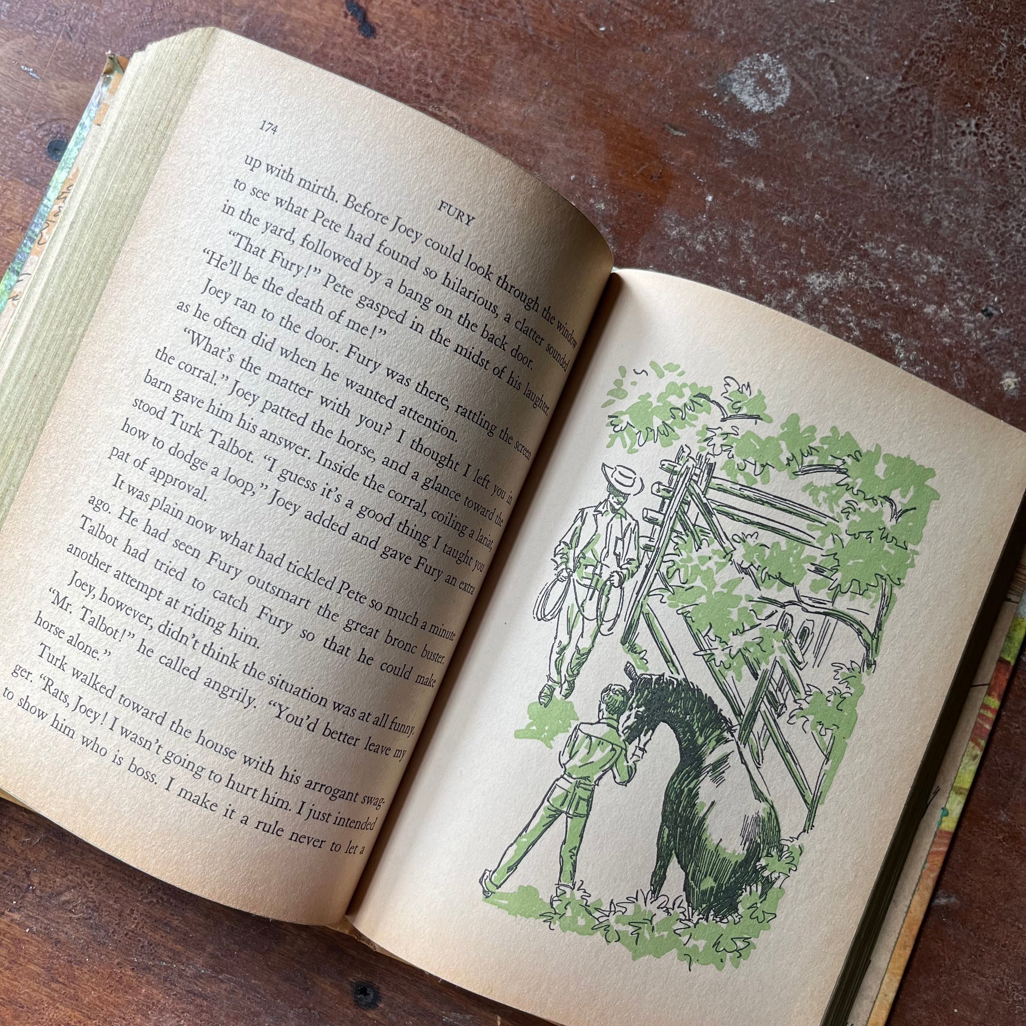 Fury and the Mystery at Trappers' Hole by Troy Nesbitt - 1959 Whitman ...