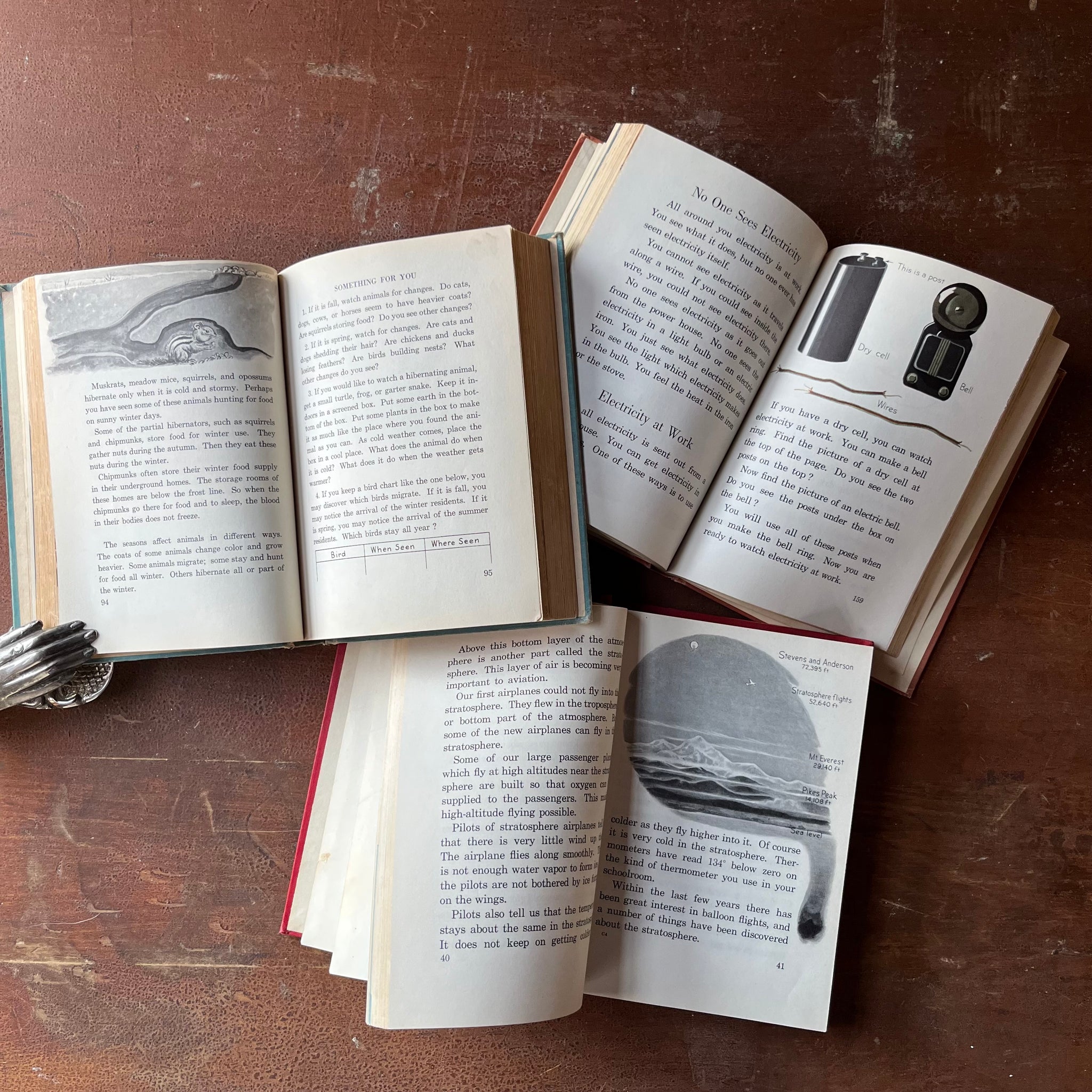 Ginn Our World of Science Vintage School Book Set: Exploring Science ...