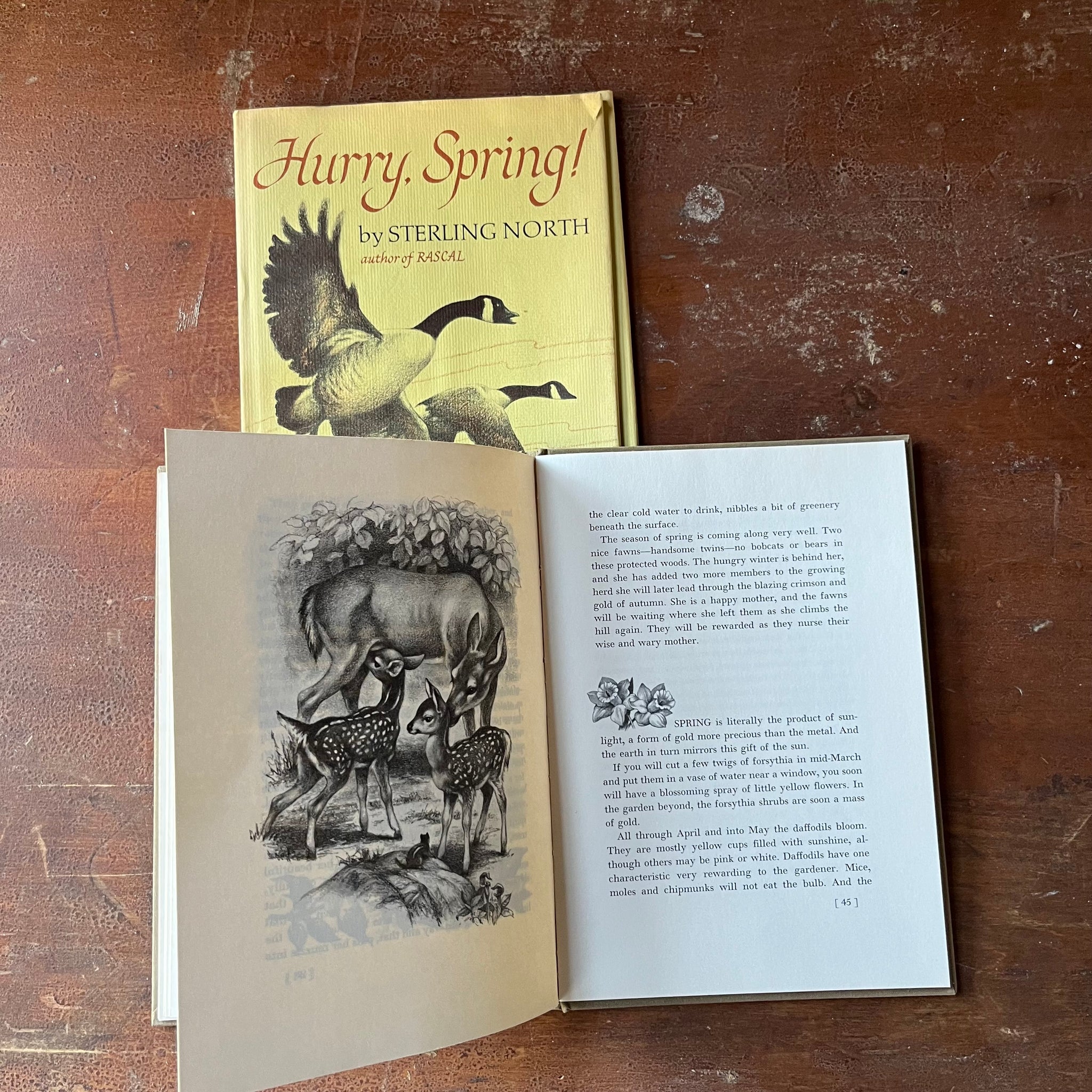 Hurry, Spring! by Sterling North with Illustrations by Carl Burger ...