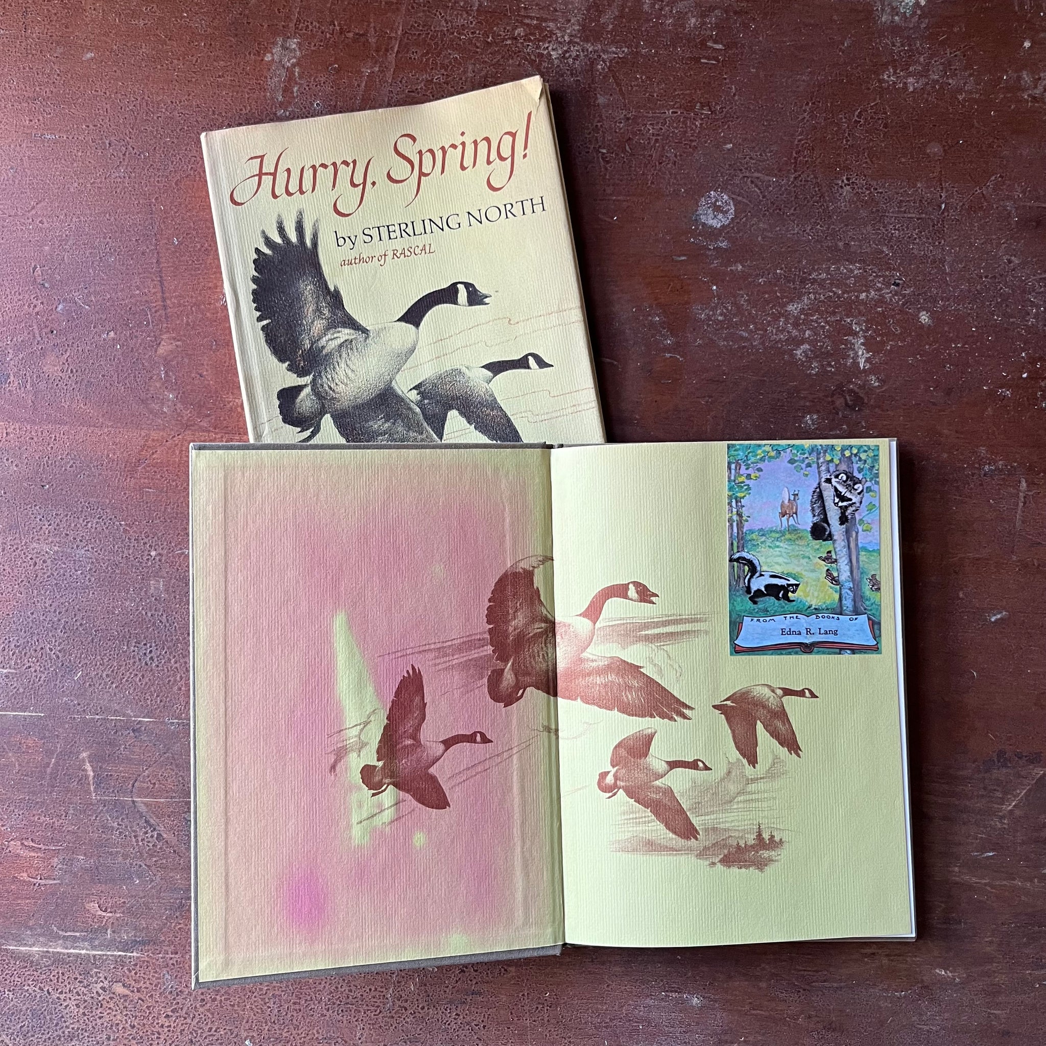 Hurry, Spring! by Sterling North with Illustrations by Carl Burger ...