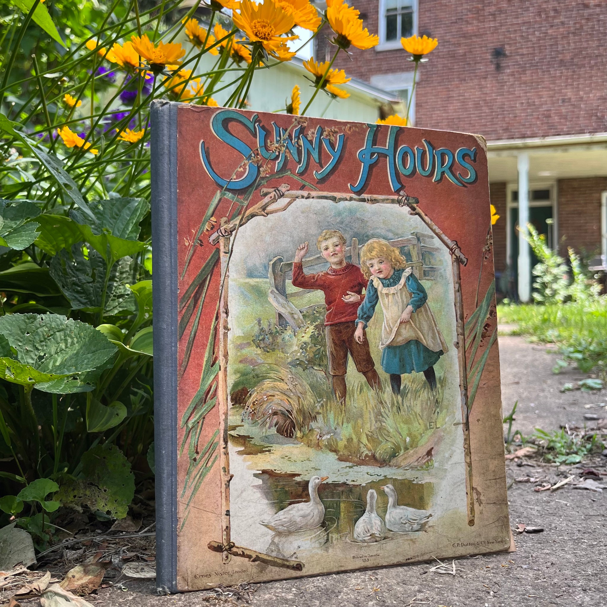 Vintage Children's Book Store for Collectors & Homeschool Parents