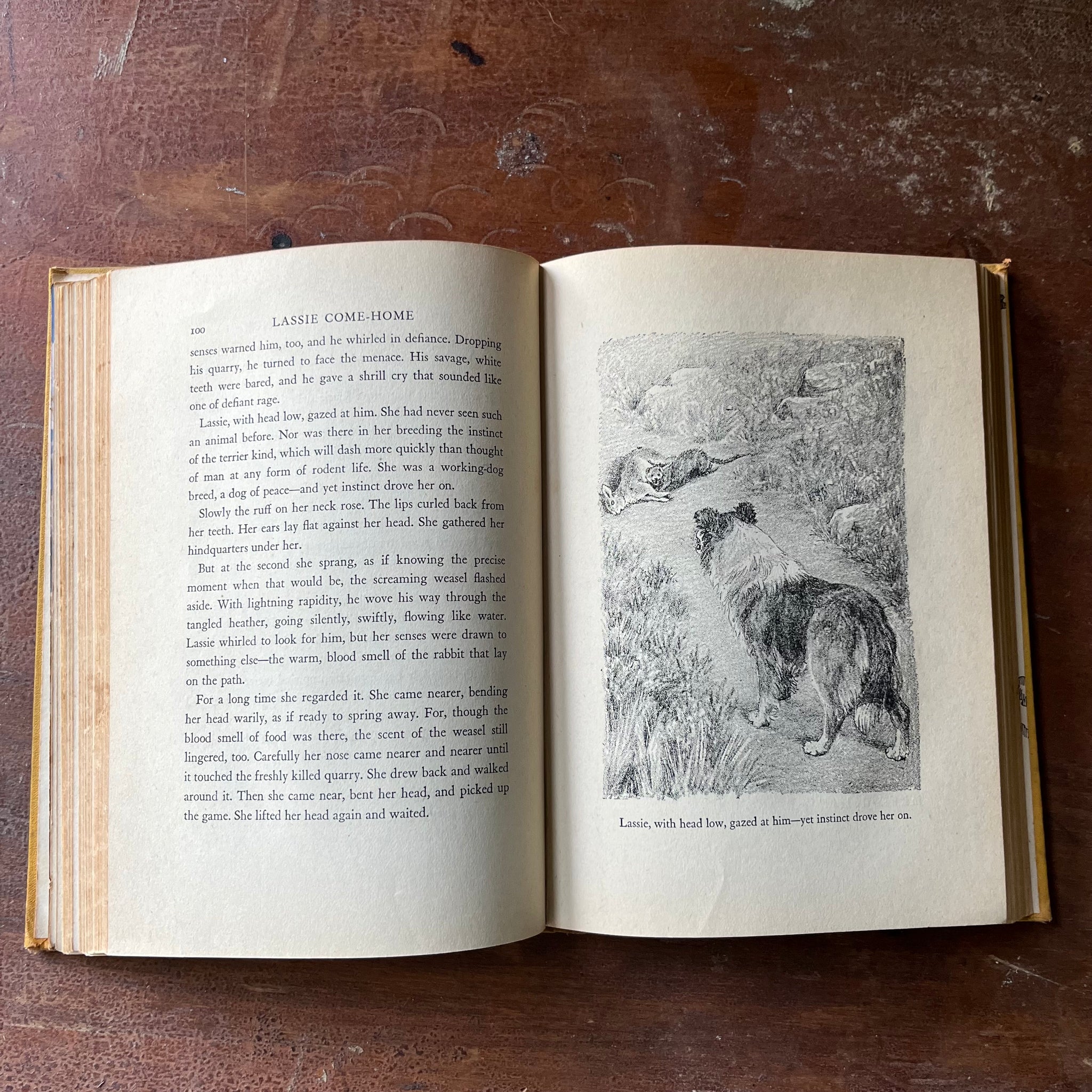 Eric Knight's Great Dog Story Lassie Come-Home - Log Cabin Vintage