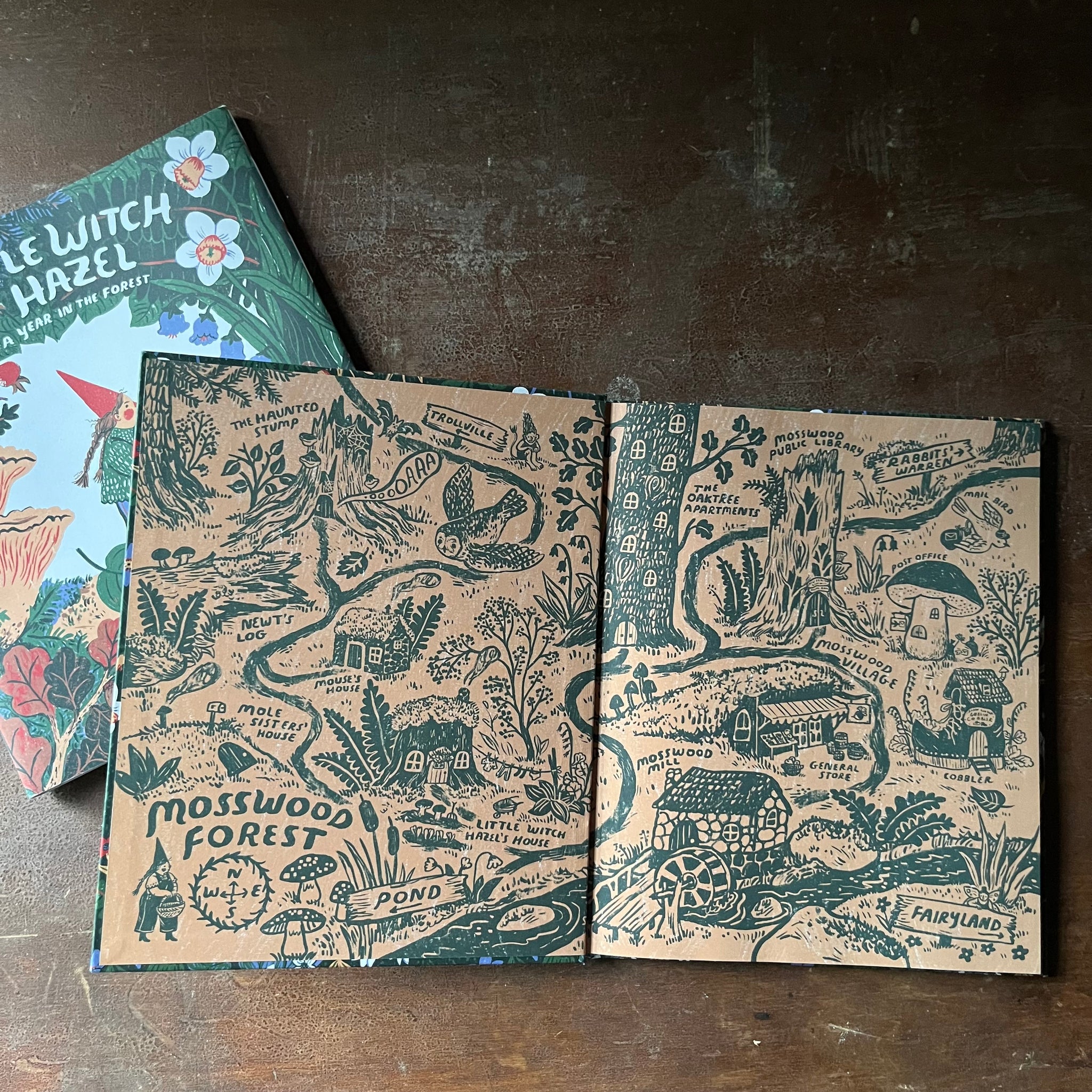 Little Witch Hazel A Year in the Forest by Phoebe Wahl - Log Cabin Vintage
