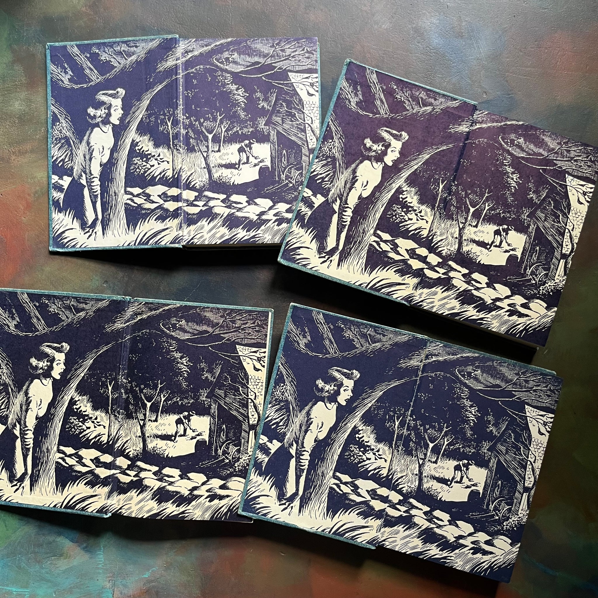 Nancy Drew Mystery Series Book Set by Carolyn Keene - The Secret at Sh ...