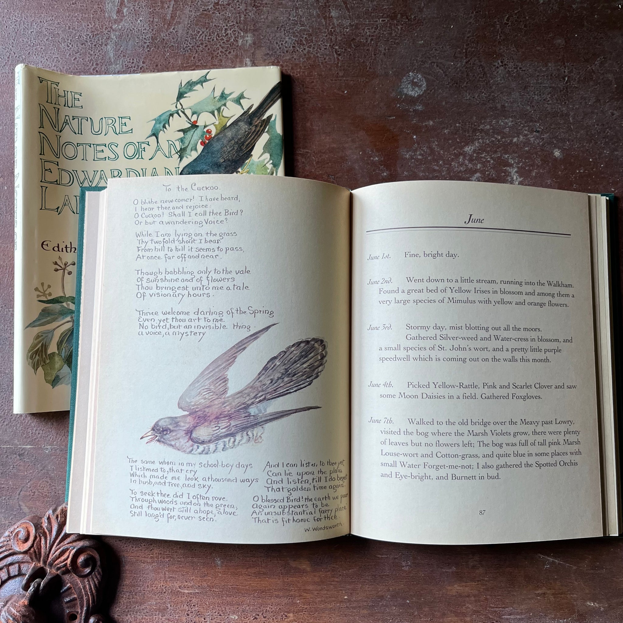 The Nature Notes of An Edwardian Lady by Edith Holden - Log Cabin Vintage