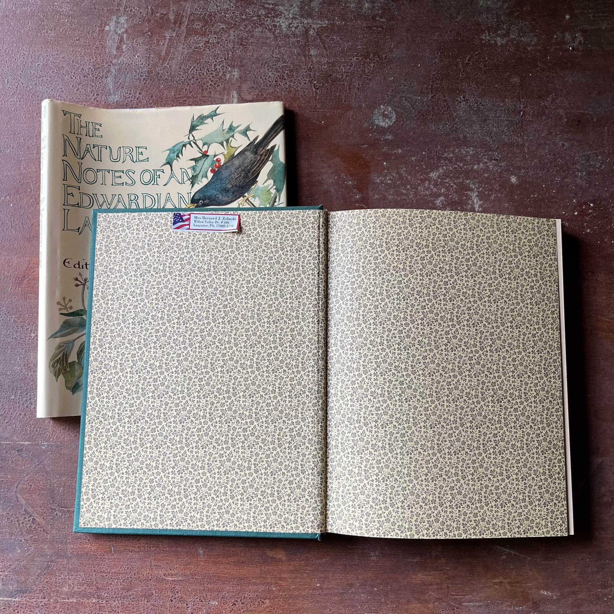 The Nature Notes of An Edwardian Lady by Edith Holden - Log Cabin Vintage