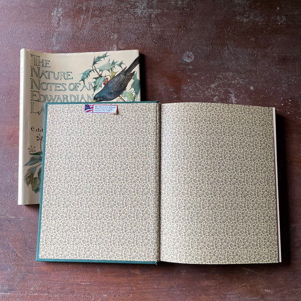 The Nature Notes of An Edwardian Lady by Edith Holden - Log Cabin Vintage