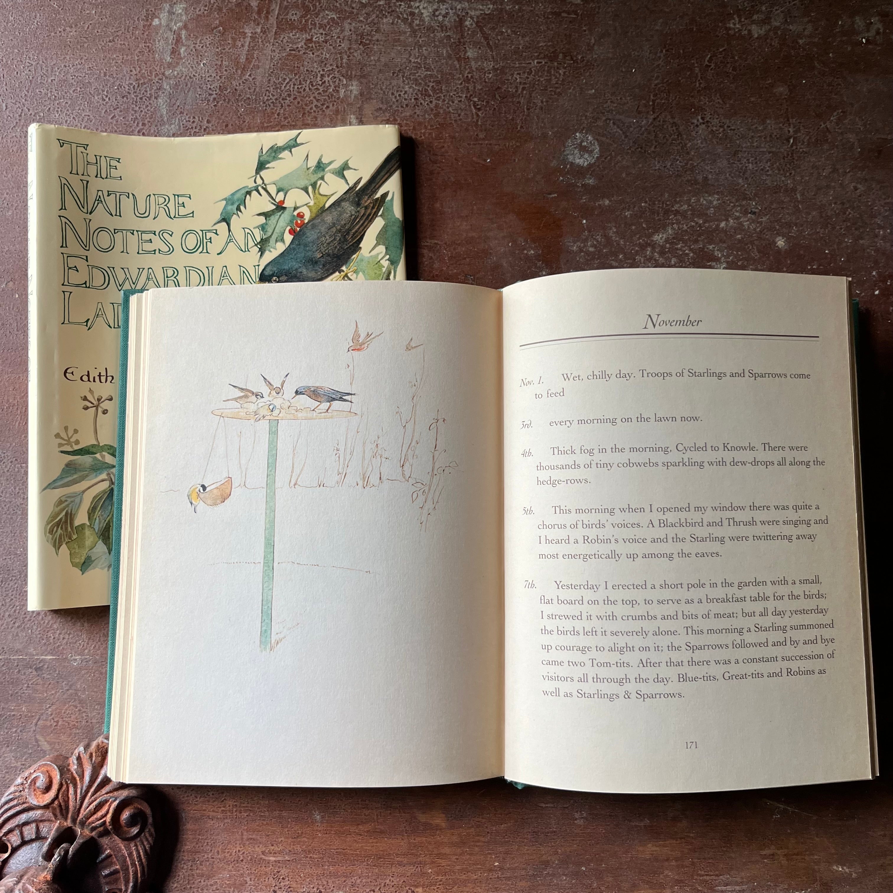 The Nature Notes of An Edwardian Lady by Edith Holden - Log Cabin Vintage