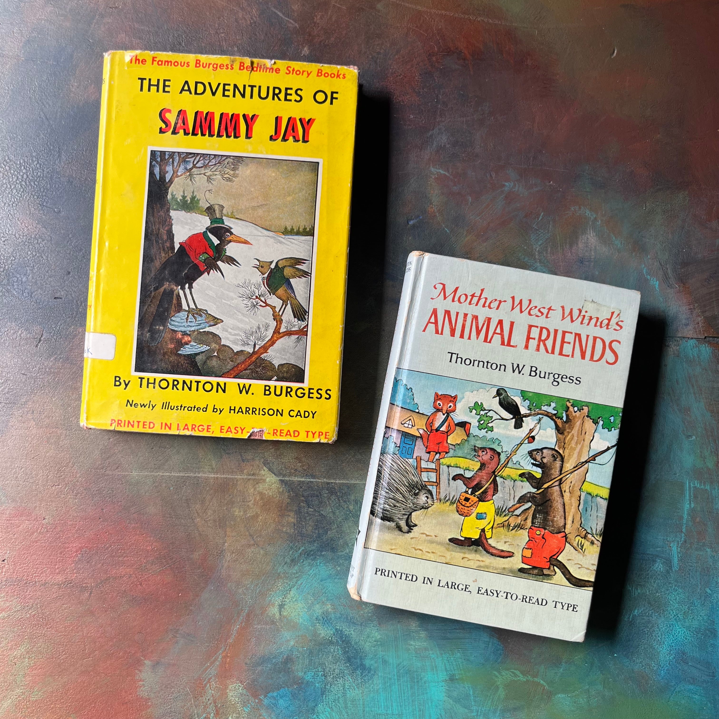 Mother West Wind's Animal Friends & The Adventures of Sammy Jay - Log ...