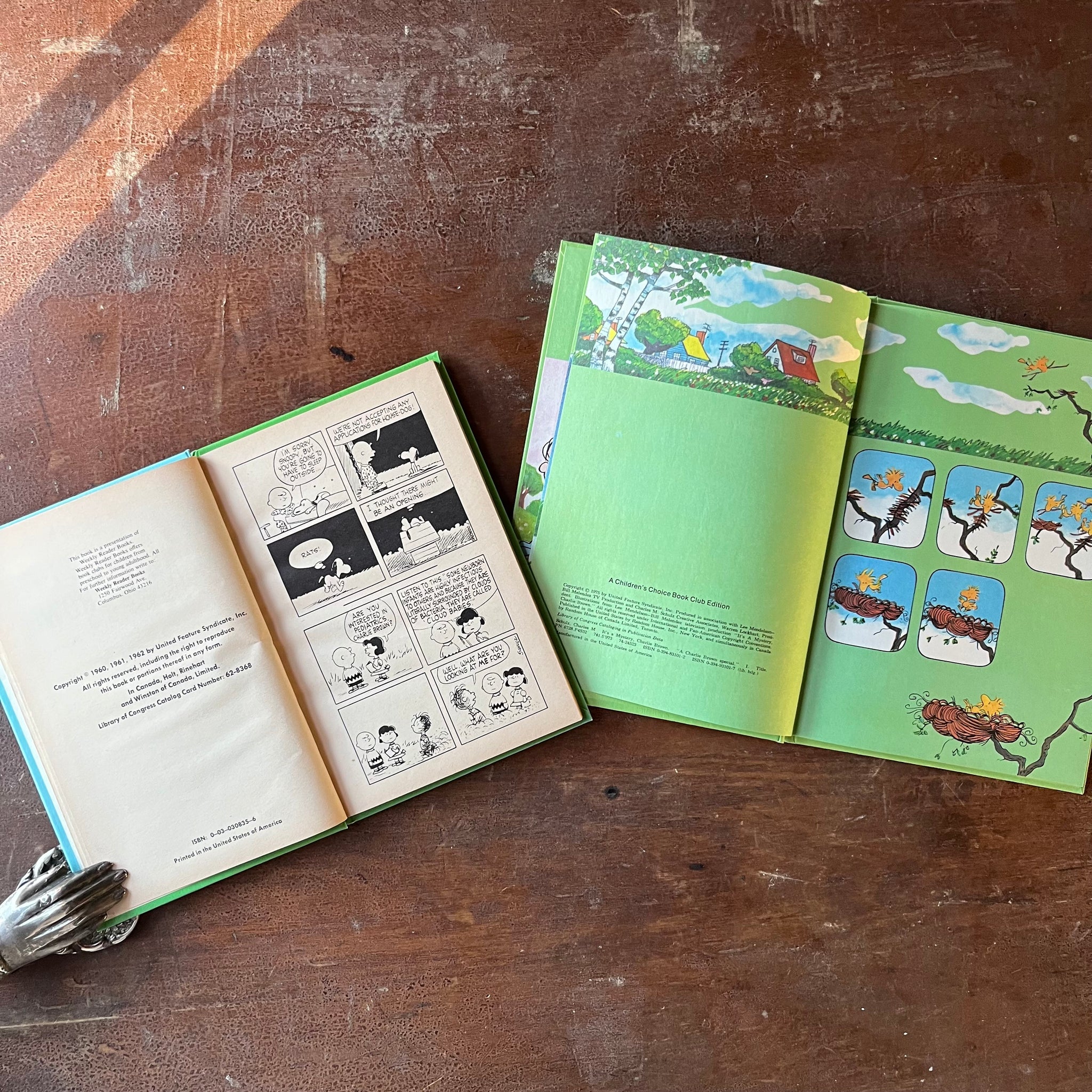 Pair of Charles M. Schulz Vintage Charlie Brown Books for Children ...