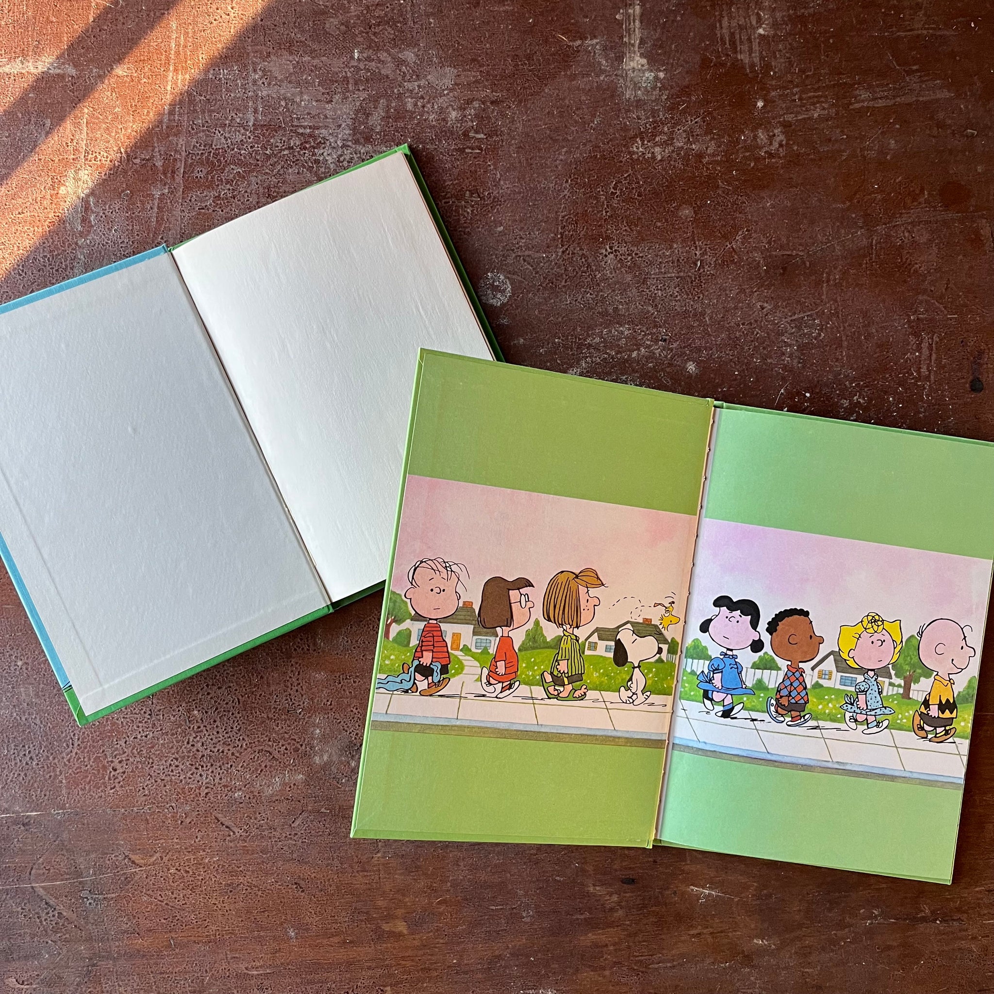 Pair of Charles M. Schulz Vintage Charlie Brown Books for Children ...