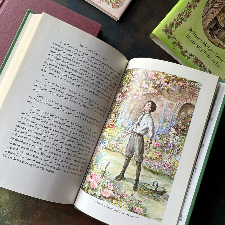 A Little Princess & The Secret Garden by Frances Hodgson Burnett - Ill ...