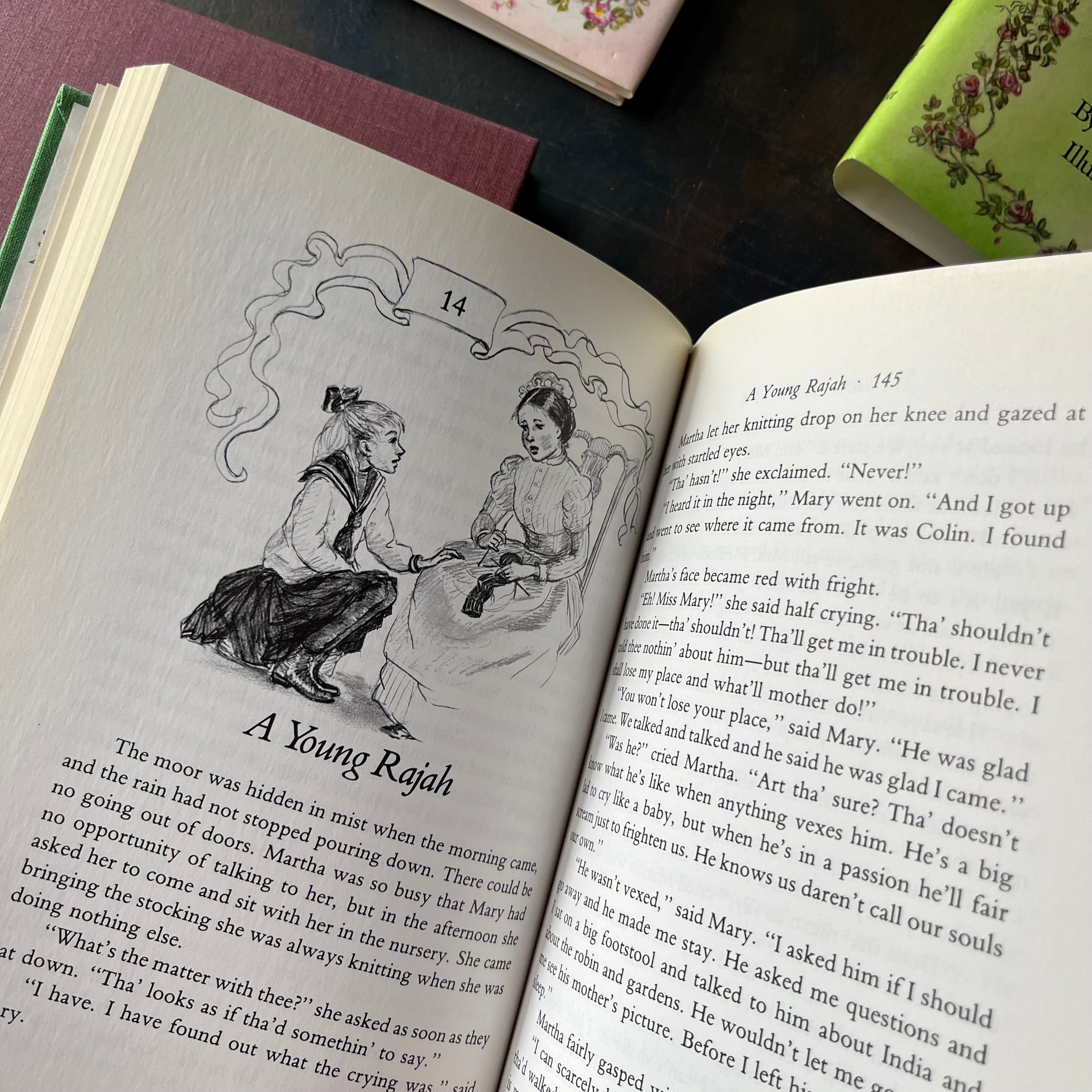 A Little Princess & The Secret Garden by Frances Hodgson Burnett - Ill ...