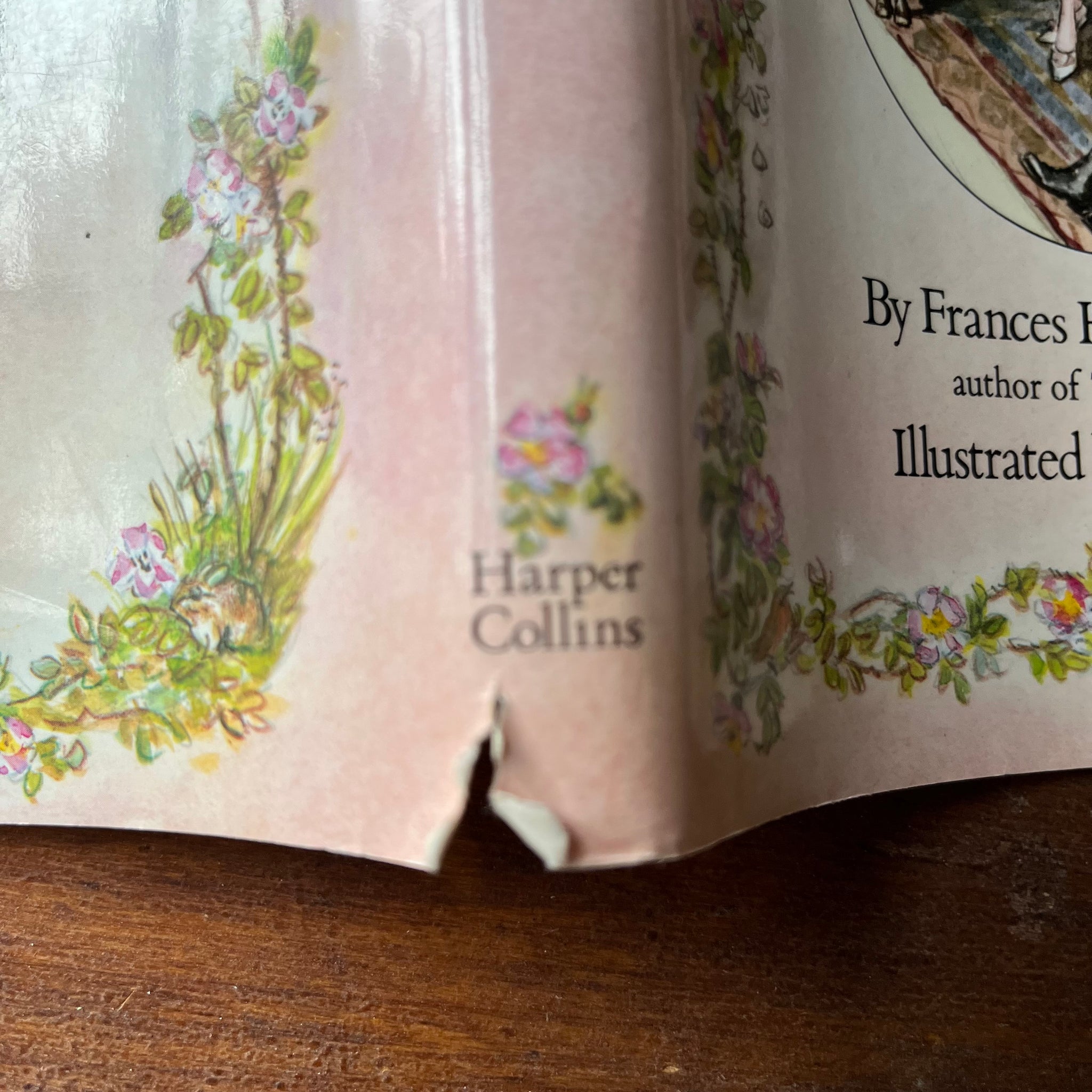 A Little Princess & The Secret Garden by Frances Hodgson Burnett - Ill ...