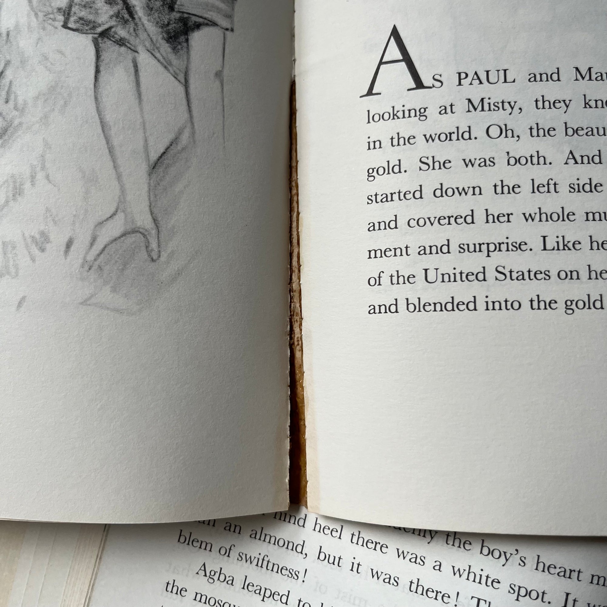 coloring pages of misty of chincoteague