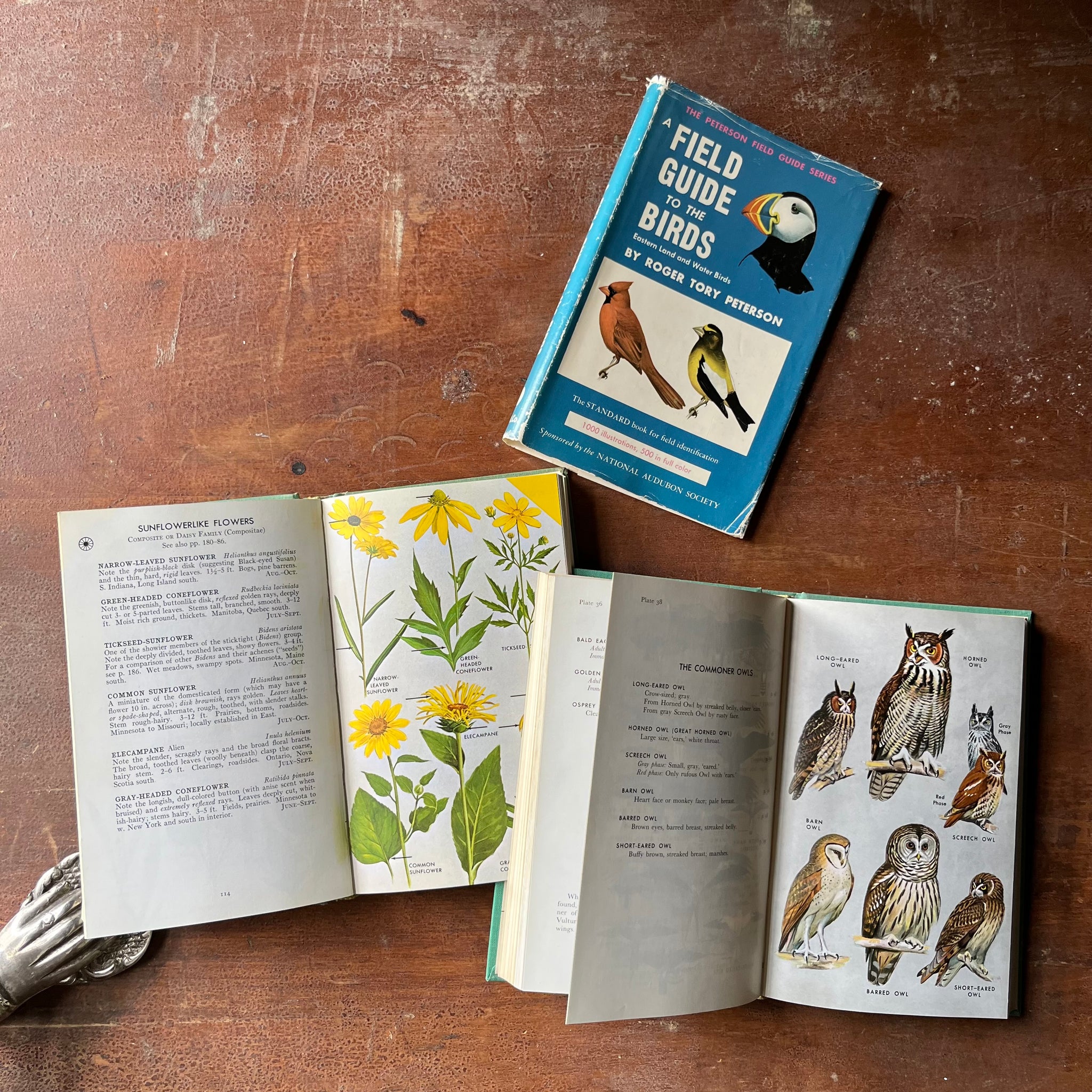 Pair of Peterson Field Guides by Roger Tory Peterson - Birds & Wildflo ...