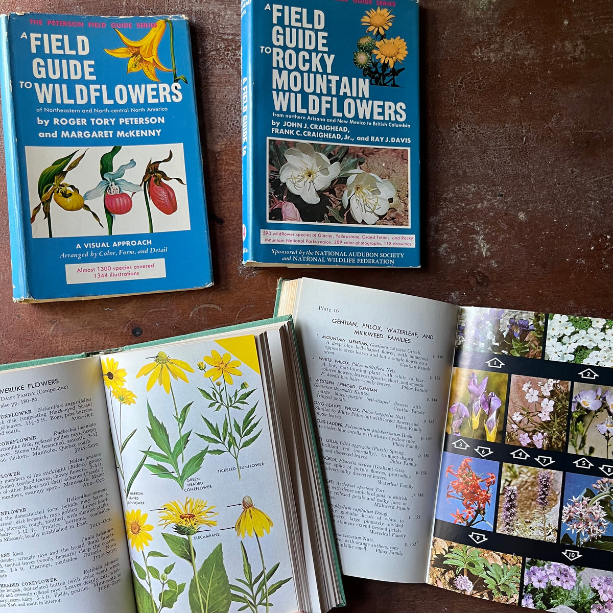 Pair of Peterson Field Guides - Wildflowers & Rocky Mountain Wildflowe ...
