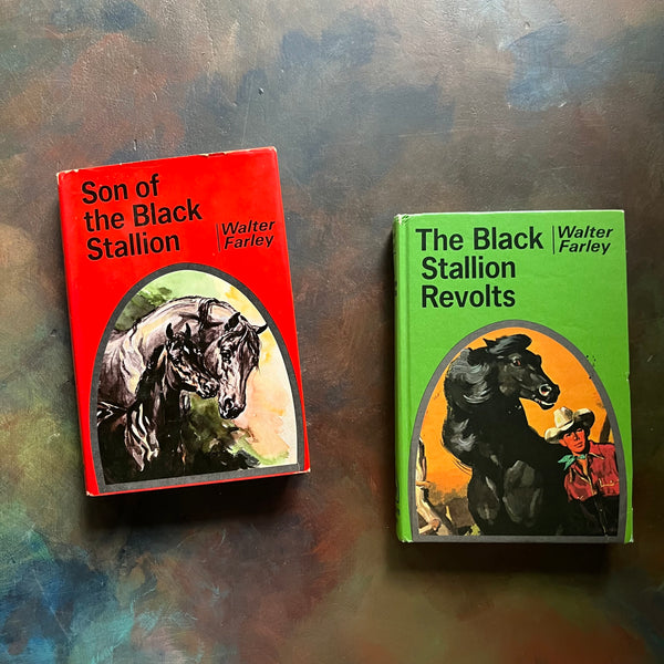 Pair of Walter Farley The Black Stallion Books: Son of the Black Stall ...