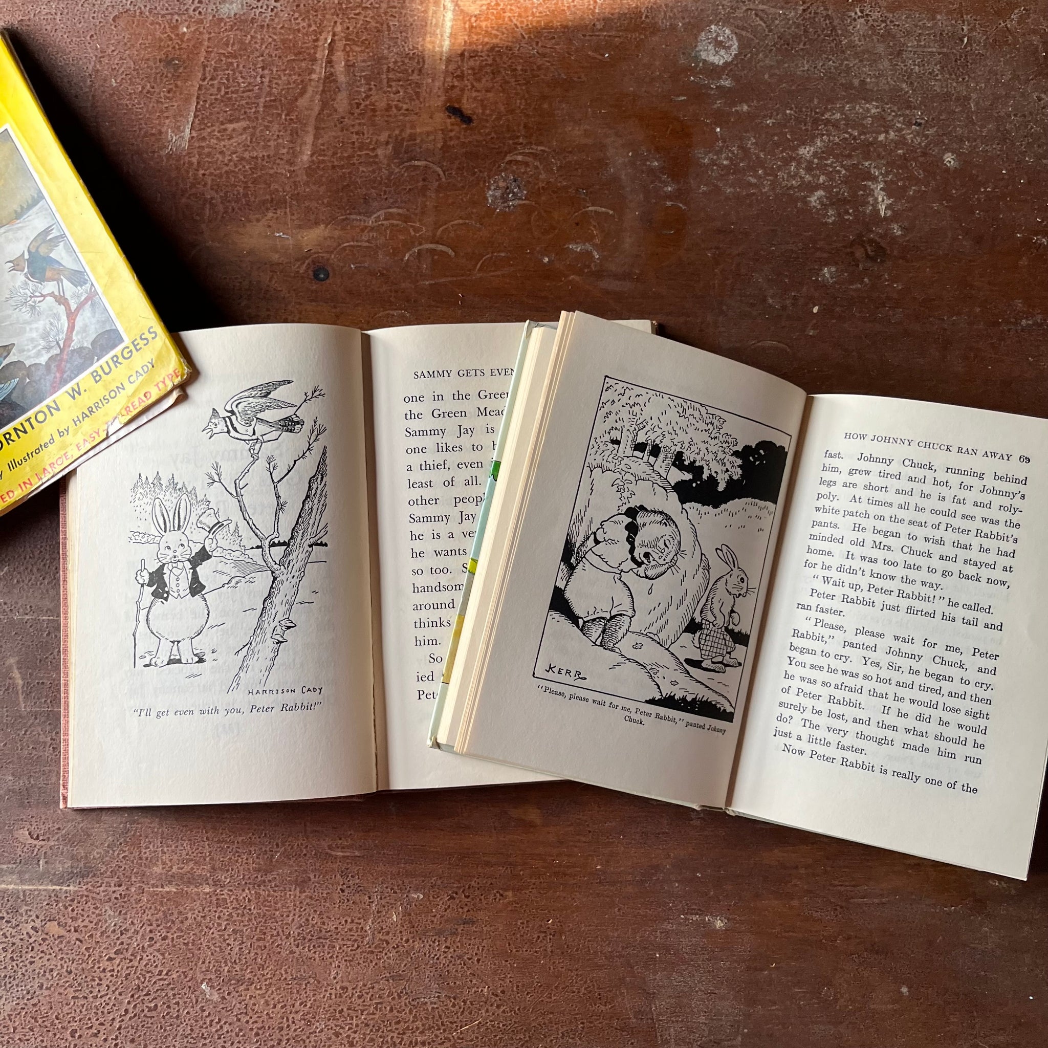 Pair of Children's Storybooks: Mother West Wind's Animal Friends & The ...