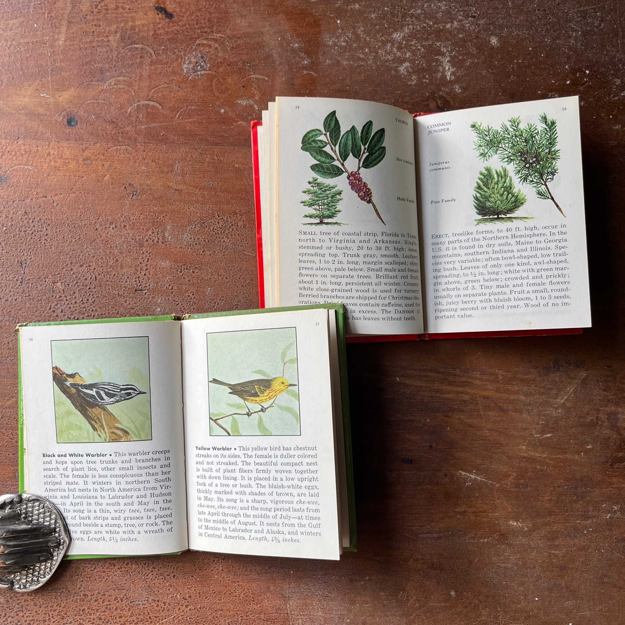 Nature Guides Published by Whitman - Green Book of Birds of America ...