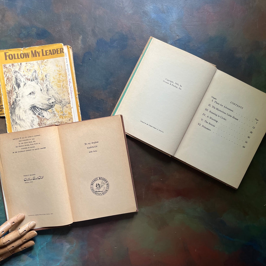 The Mystery Dogs of Glen Hazard & Follow My Lead Dog Books - Log Cabin ...