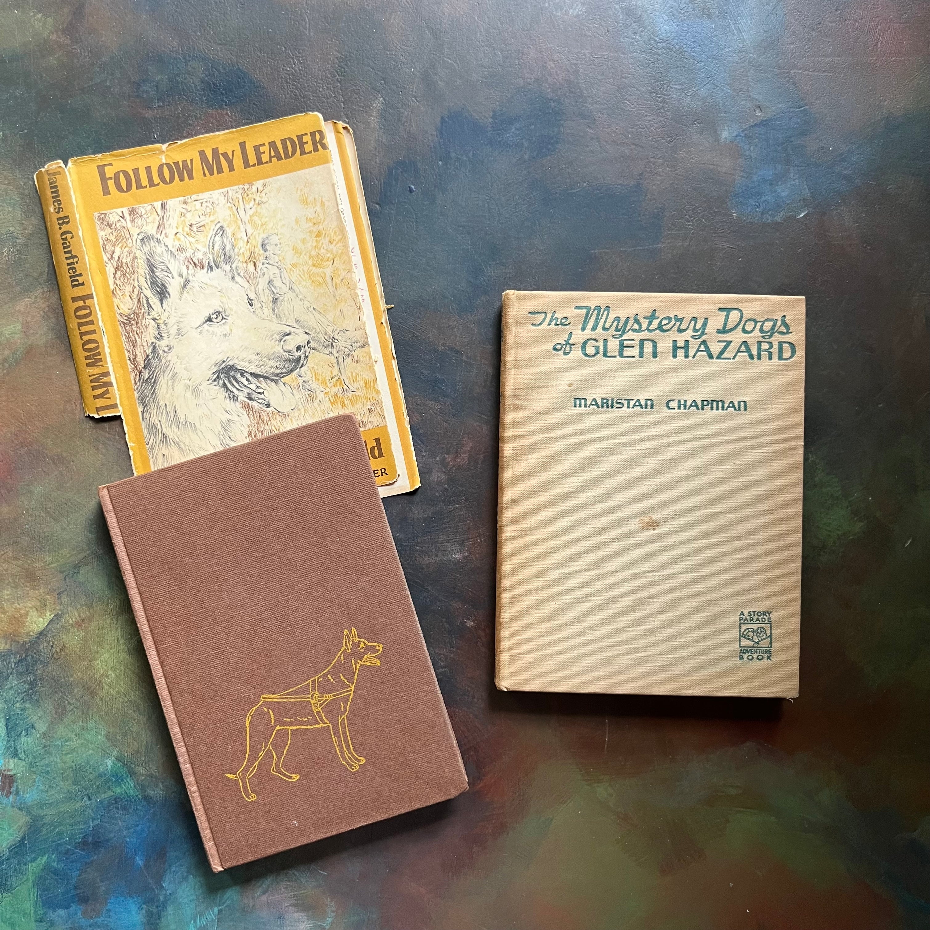 The Mystery Dogs of Glen Hazard & Follow My Lead Dog Books - Log Cabin ...