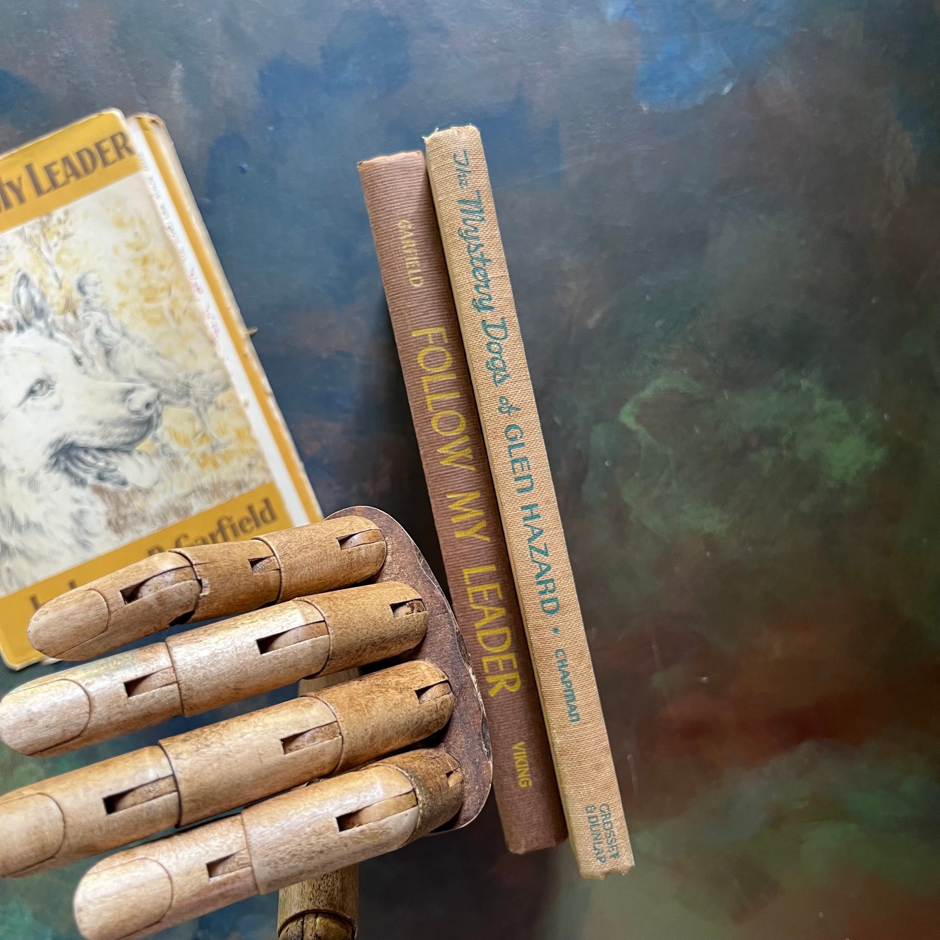 The Mystery Dogs of Glen Hazard & Follow My Lead Dog Books - Log Cabin ...