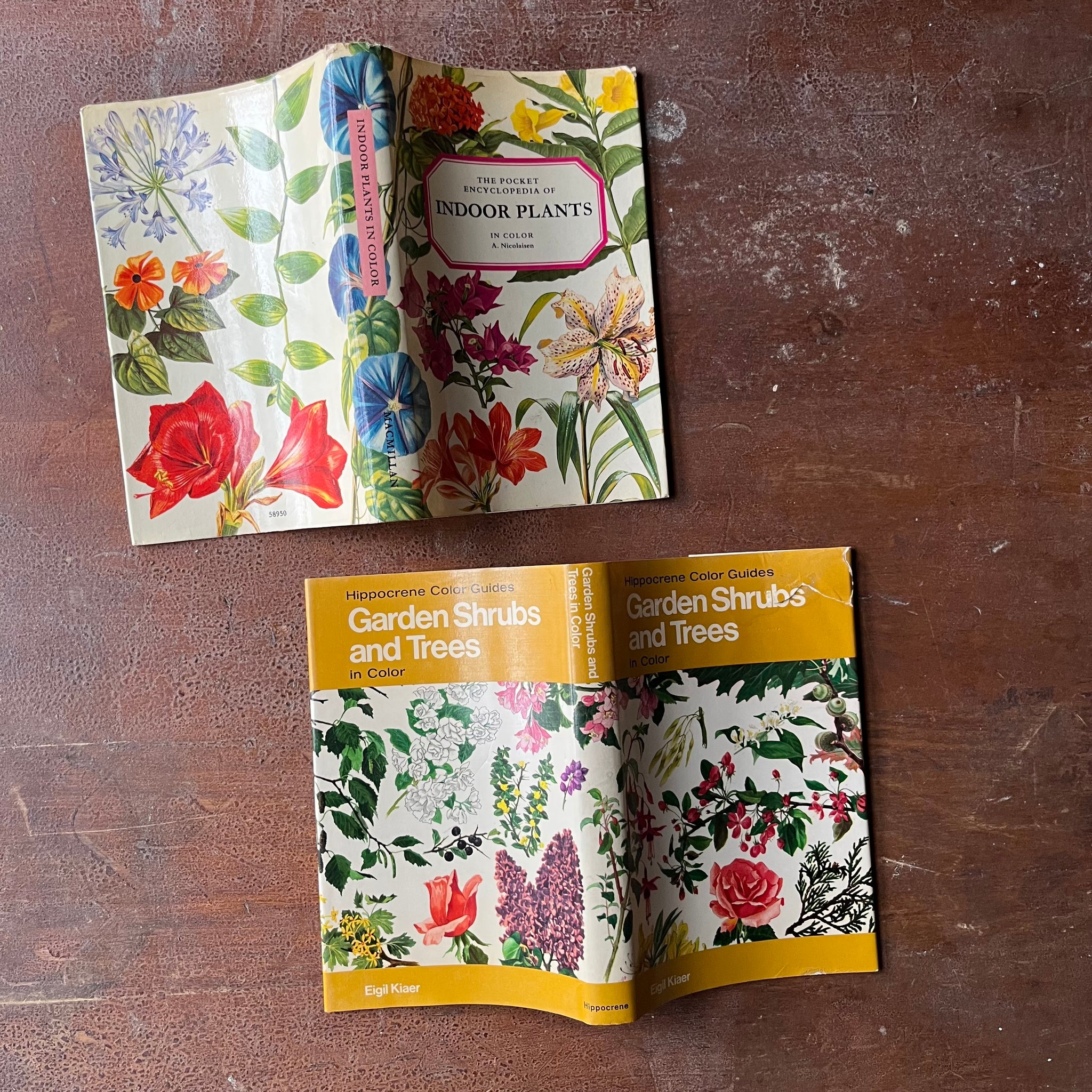 Pair of Vintage Plant Guides: Hippocrene Color Guides Garden Shrubs an ...