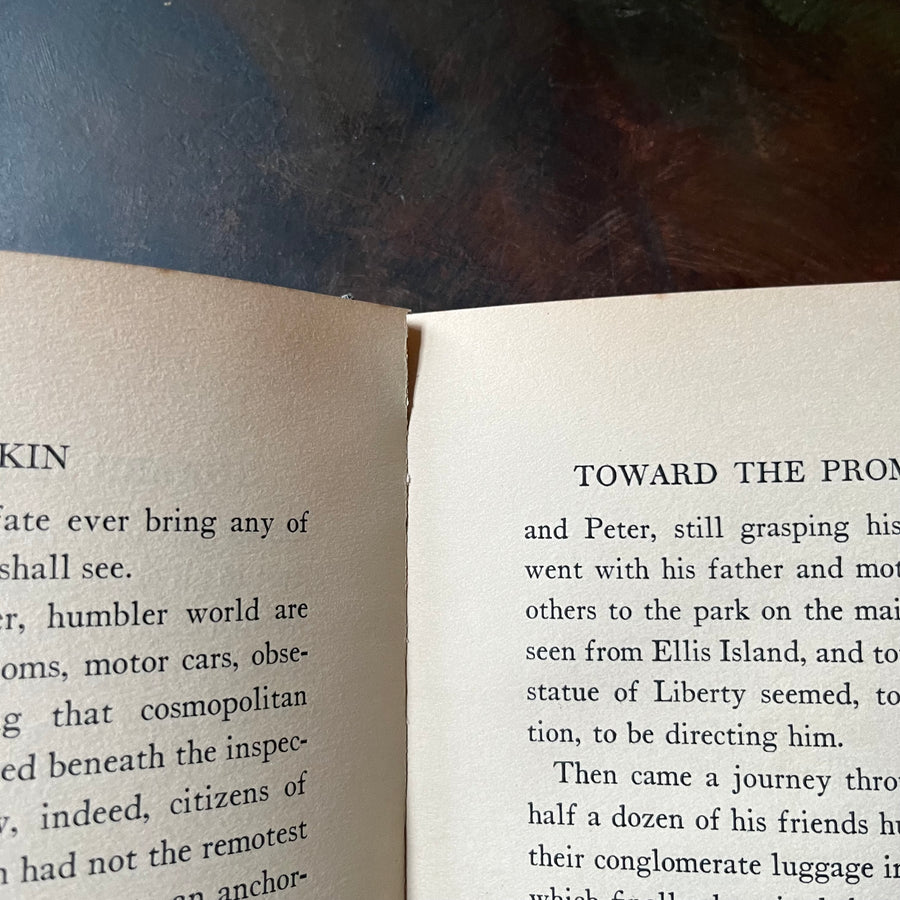 Peterkin by Gabrielle E. Jackson Illustrated by Maxfield Parrish - Log ...