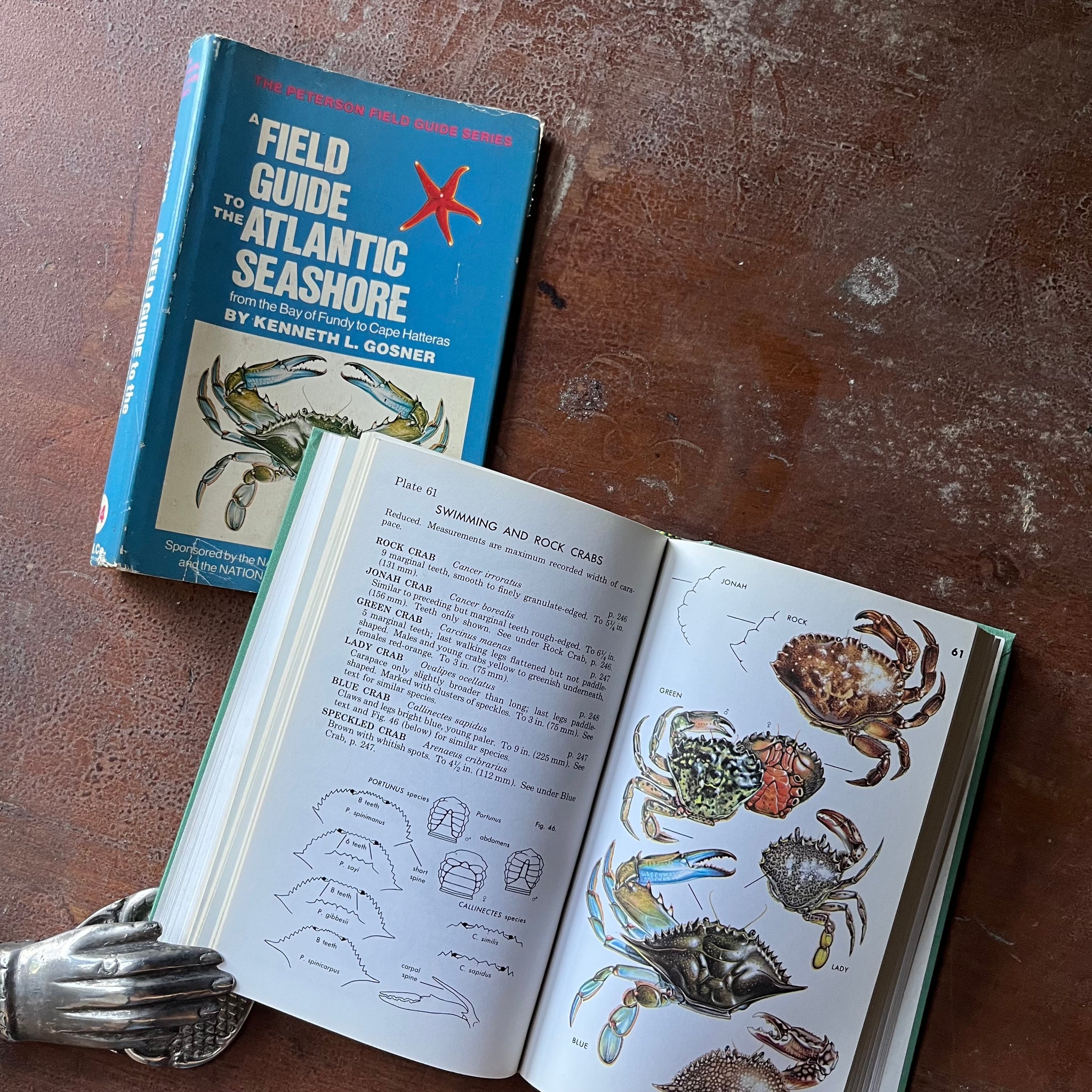 Peterson Field Guide by Kenneth L. Gosner - A Field Guide to The Atlan ...