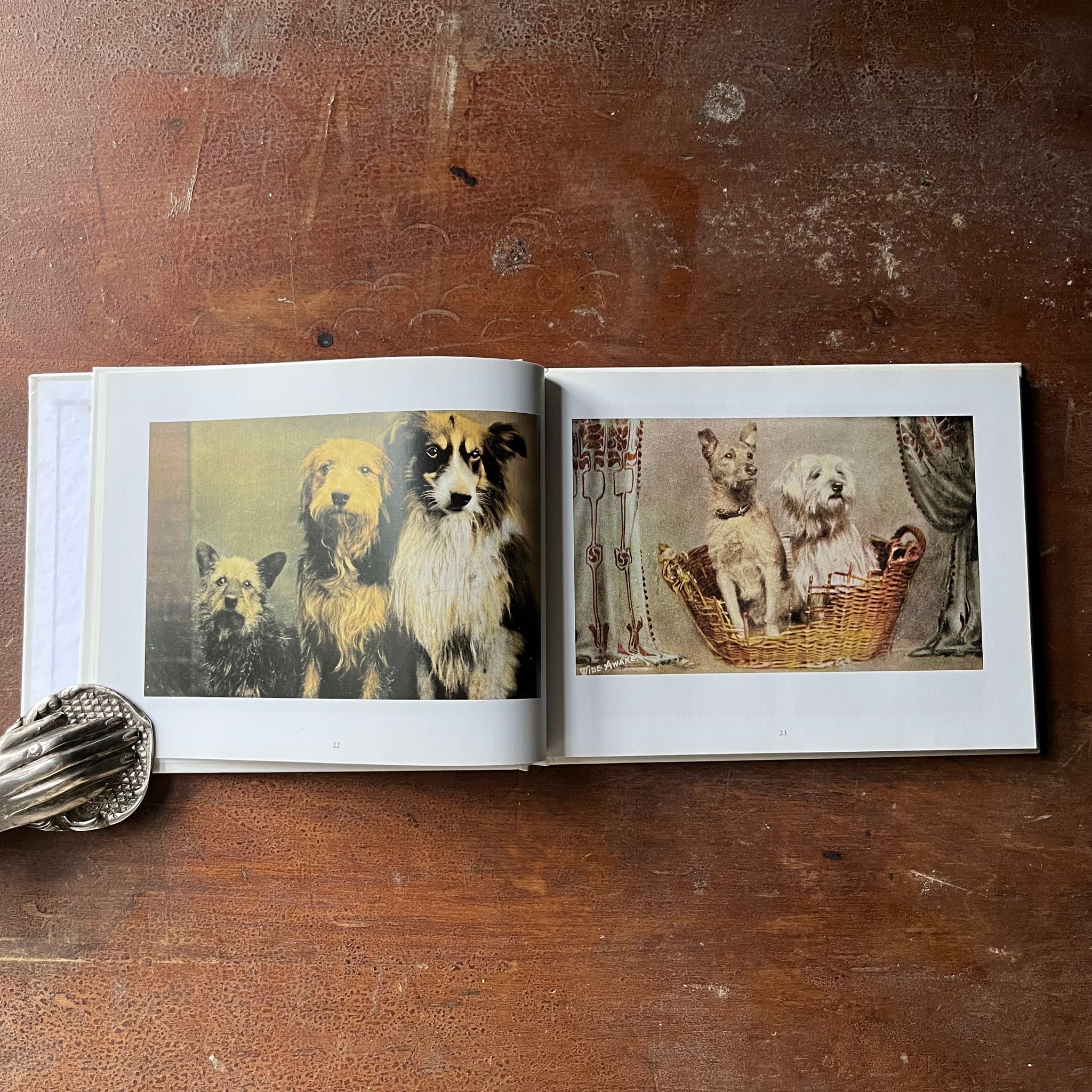 Postcard Dogs by Libby Hall - a 2004 Bloomsbury Publishing, Plc. Editi ...