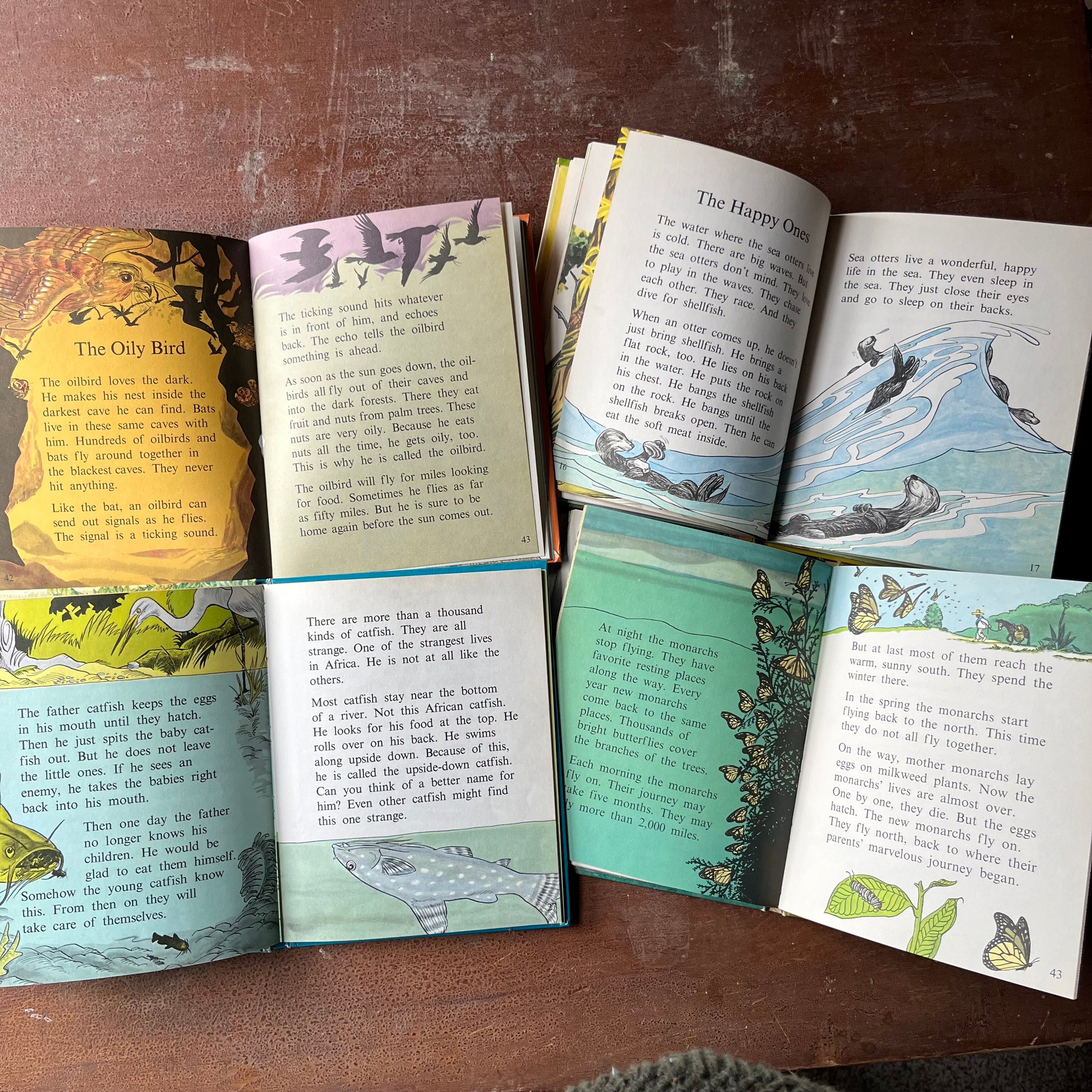 Random House Step Up Book Set - Animals, Birds, Fish & Insects Do the ...