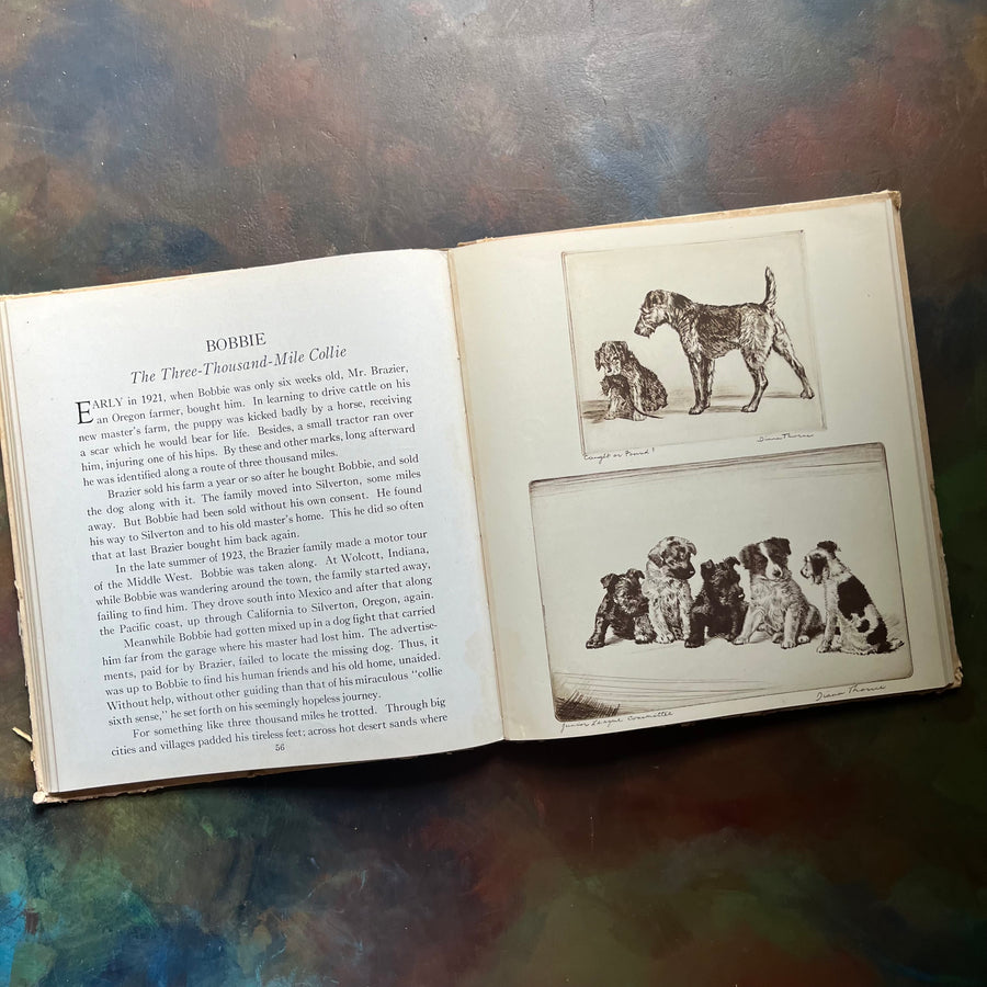 Real Tales of Real Dogs by Albert Payson Terhune For Sale - Log Cabin ...