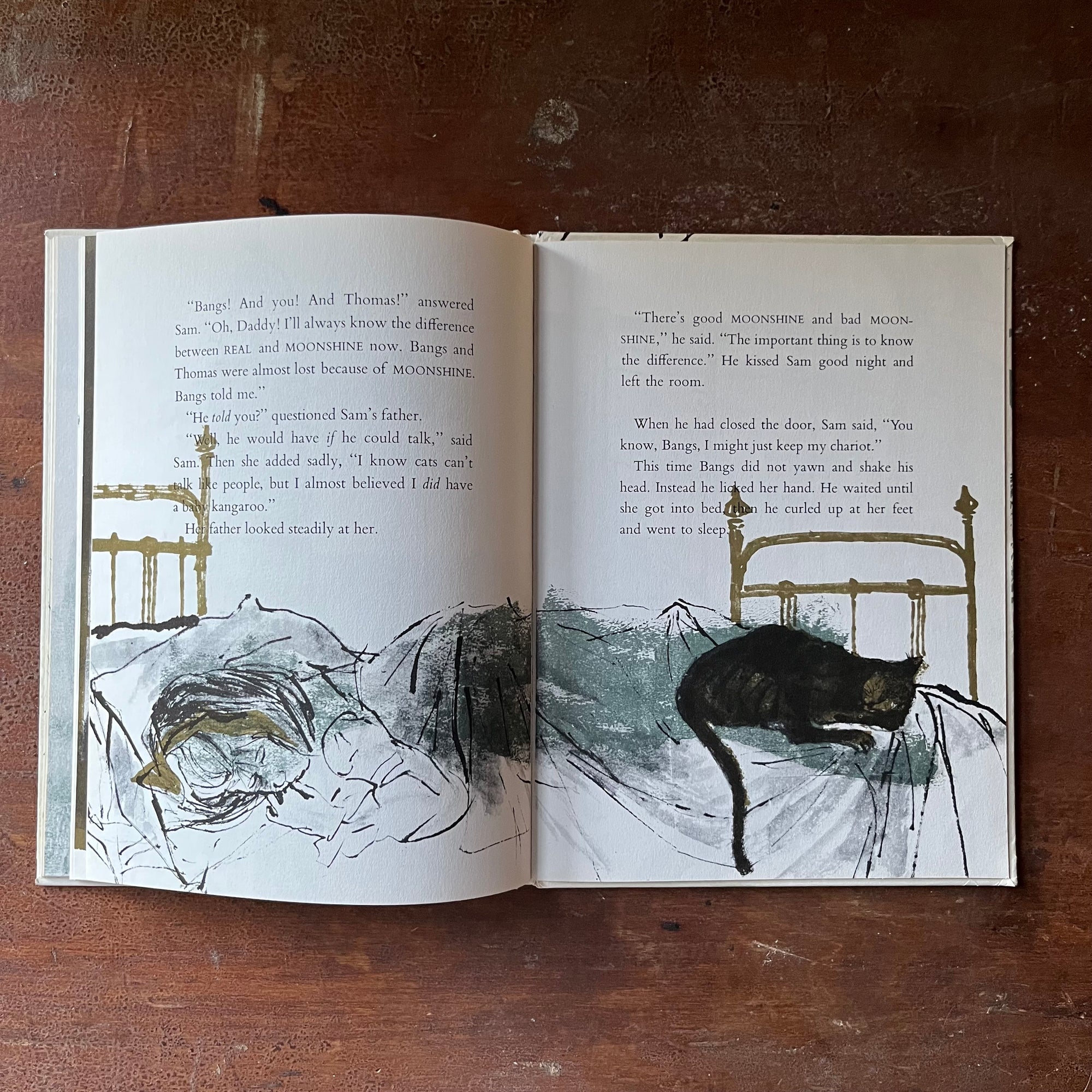 Sam, Bangs & Moonshine Written & Illustrated by Evaline Ness - 1967 Ca ...