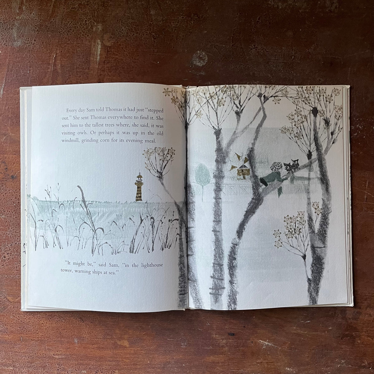 Sam, Bangs & Moonshine Written & Illustrated by Evaline Ness - 1967 Ca ...