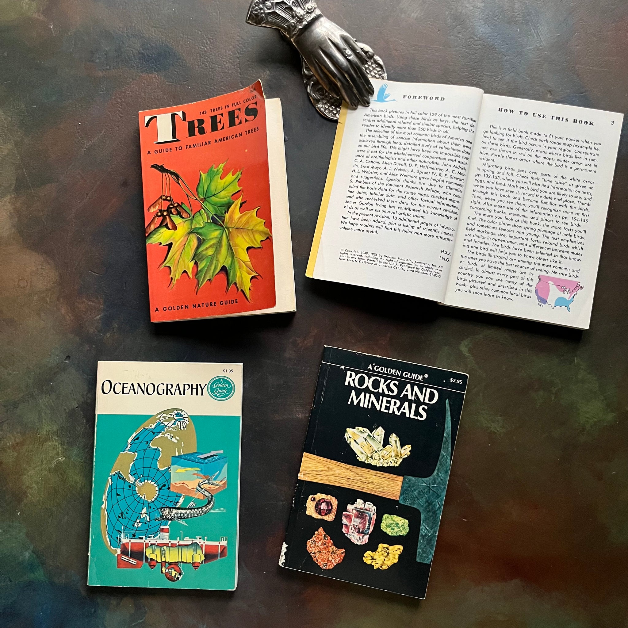Set of 4 Golden Guide Nature Pocket Guides: Rocks & Minerals, Oceanogr ...